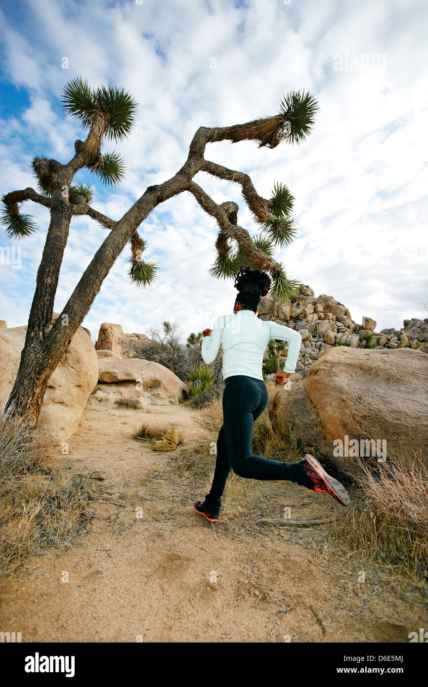 American desert tree hi-res stock photography and images - Alamy