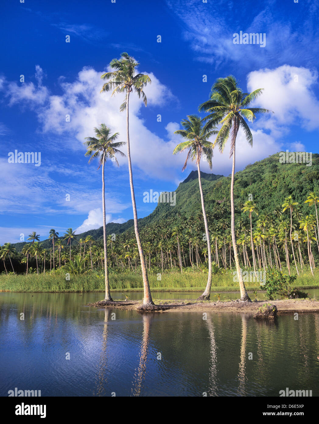 French Polynesia, Society Islands, Leeward Islands, Raiatea, Puchine ...