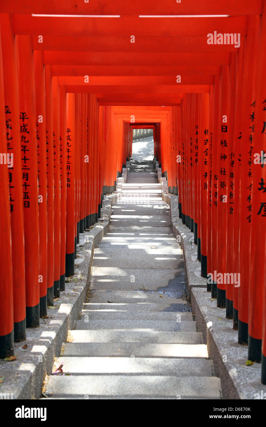 Shinto gates hi-res stock photography and images - Alamy