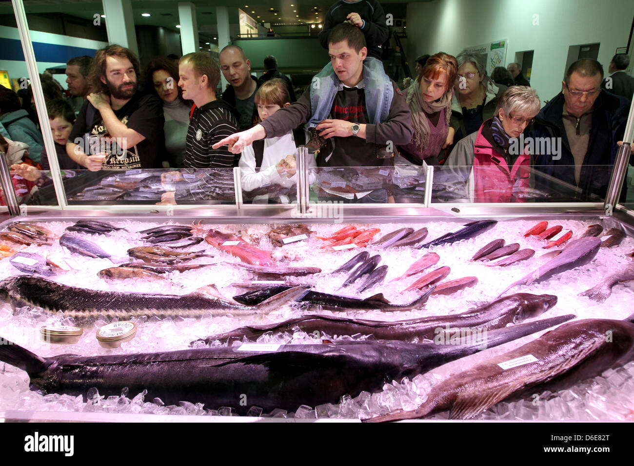 Visitors marvel at a wide range of fish on display at the international ...