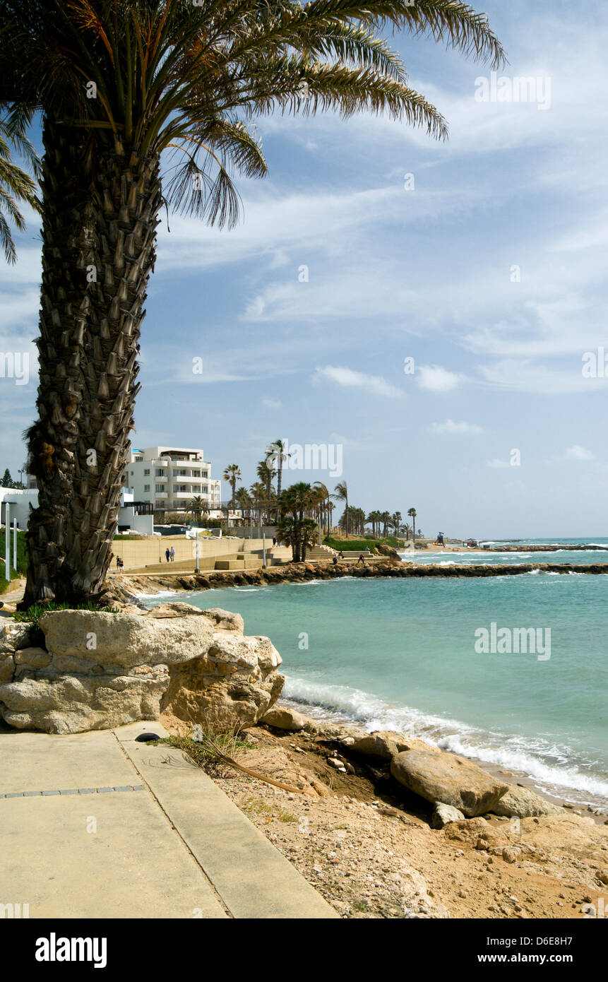 beach paphos cyprus Stock Photo - Alamy