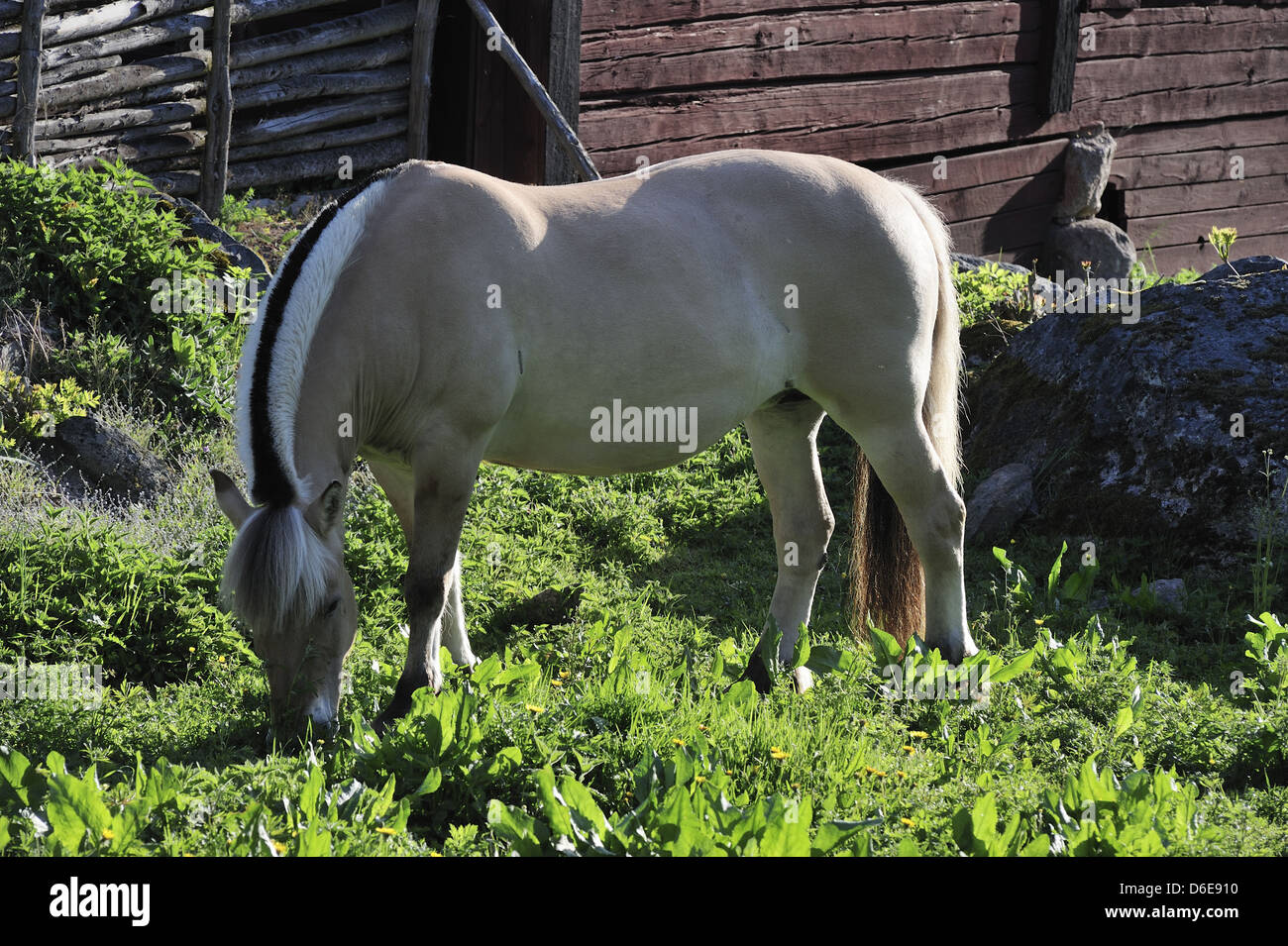 Stable reserve hi-res stock photography and images - Alamy