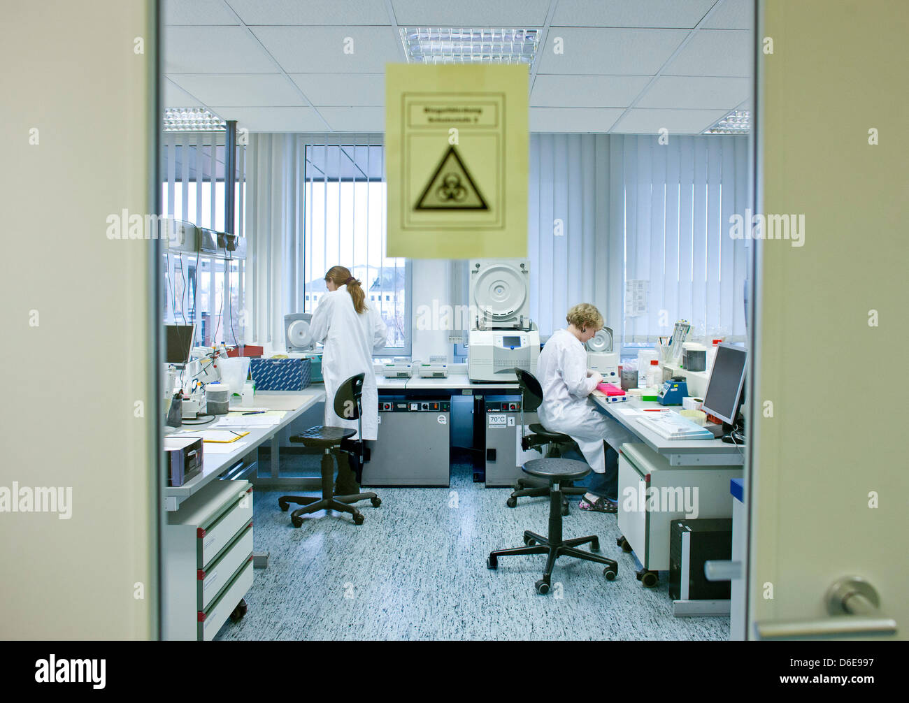 Staff members of the tissue typing laboratory DKMS Life Science Lab ...