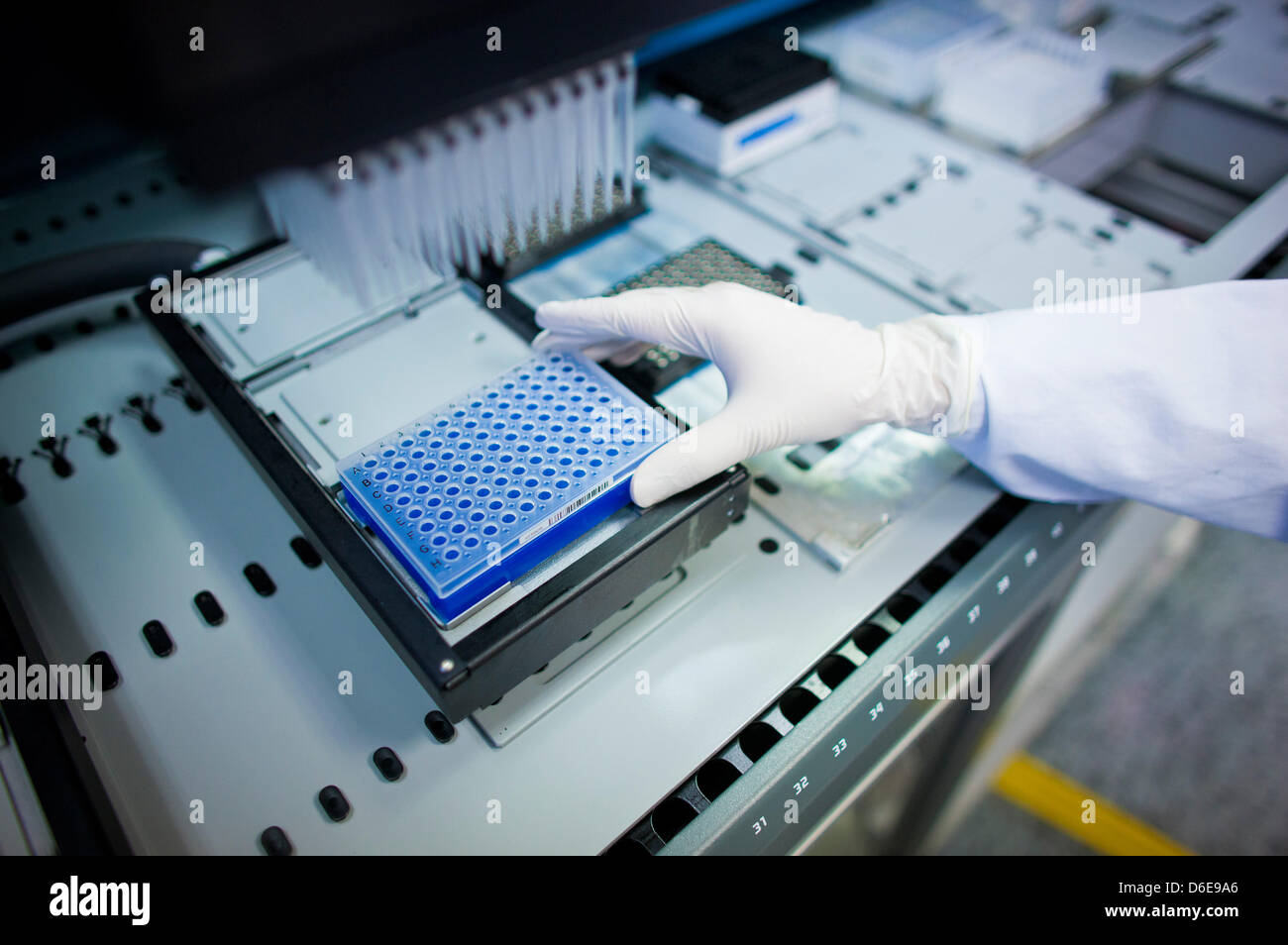 A staff member of the tissue typing laboratory DKMS Life Science Lab ...