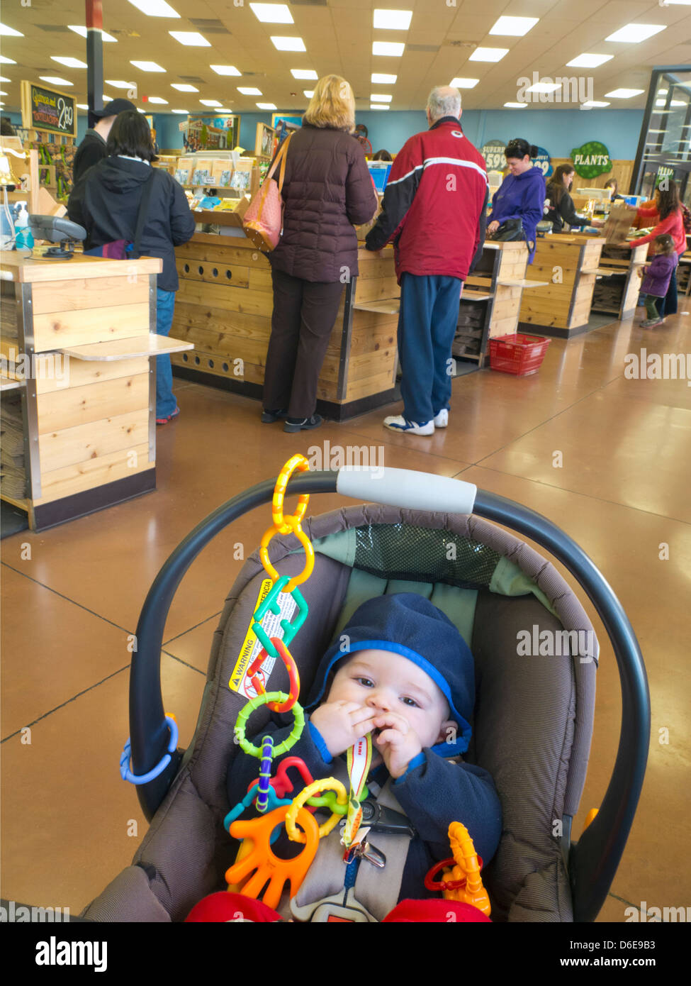 baby shopping in Trader Joe's grocery store Stock Photo - Alamy