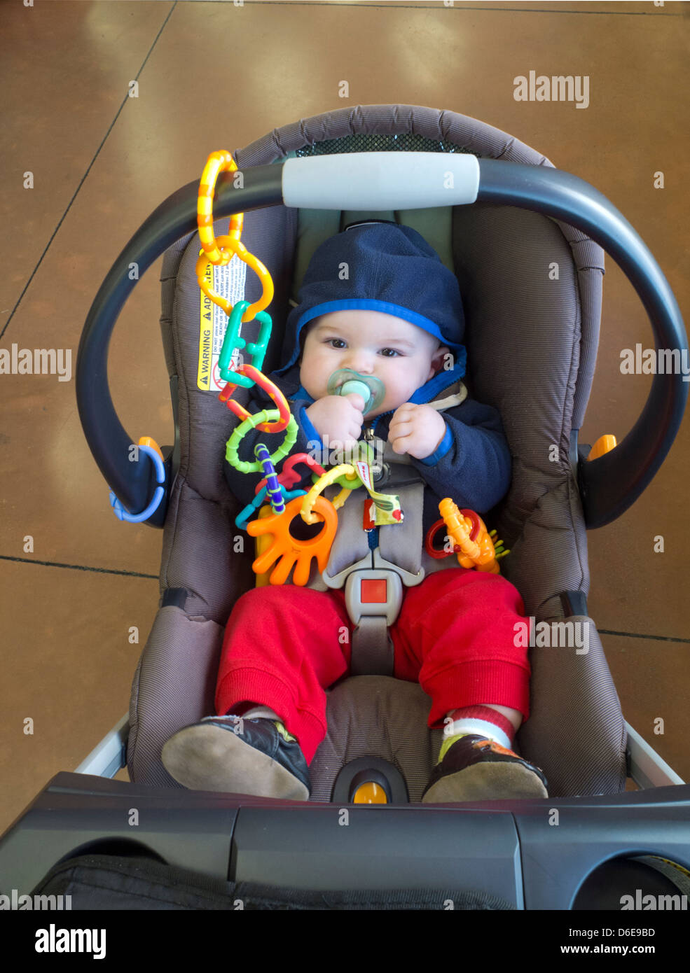 baby shopping in Trader Joe's grocery store Stock Photo - Alamy