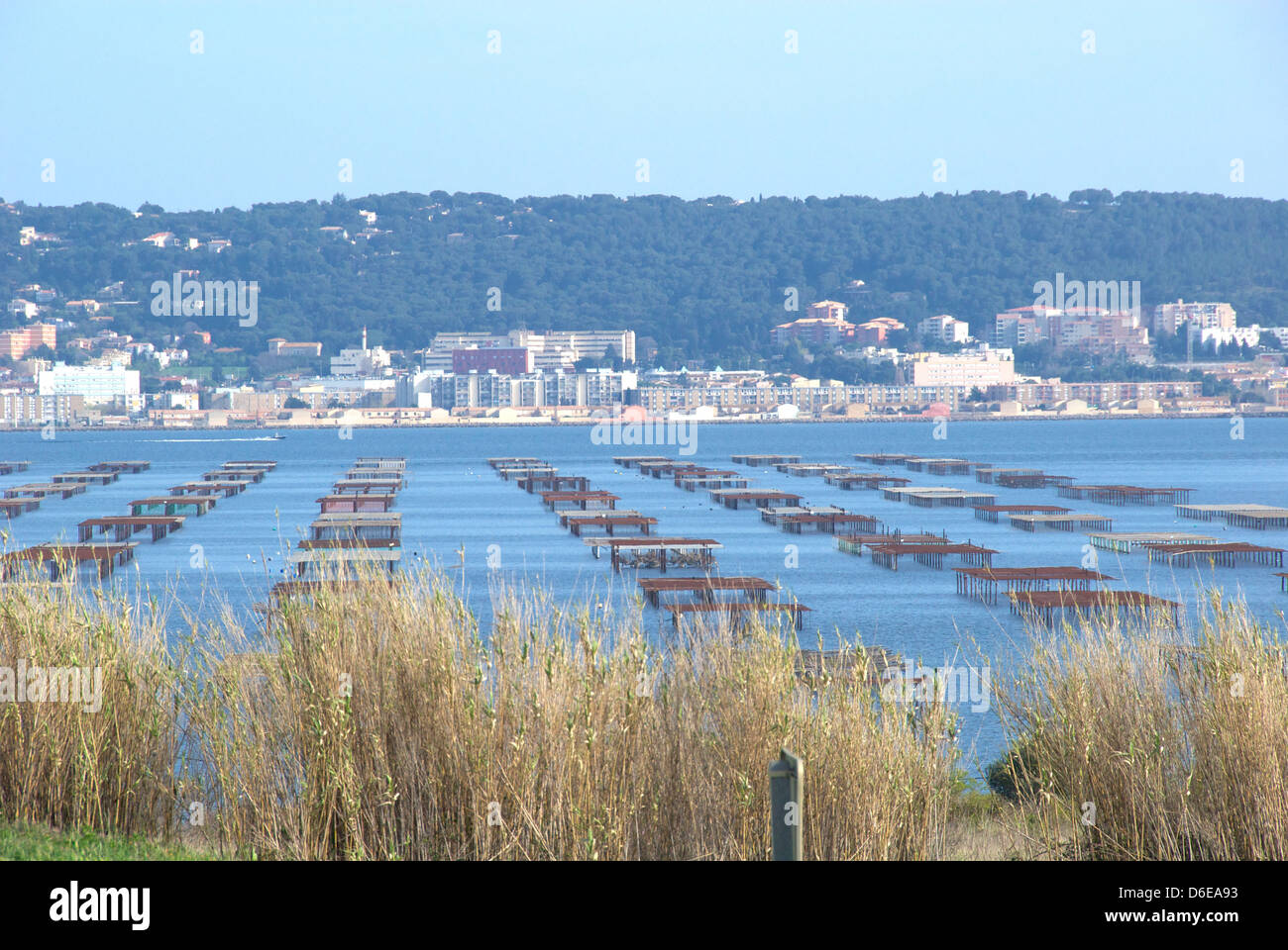 Ocean View, Sete, Meze, Oyster Farm Stock Photo - Alamy