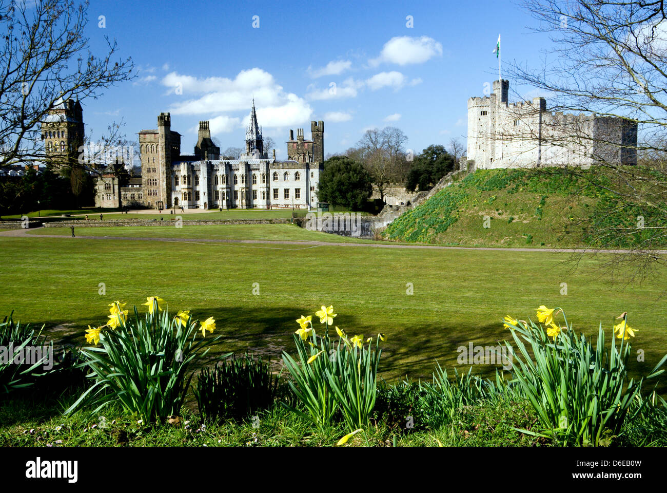 Castle moat daffodils hi-res stock photography and images - Alamy
