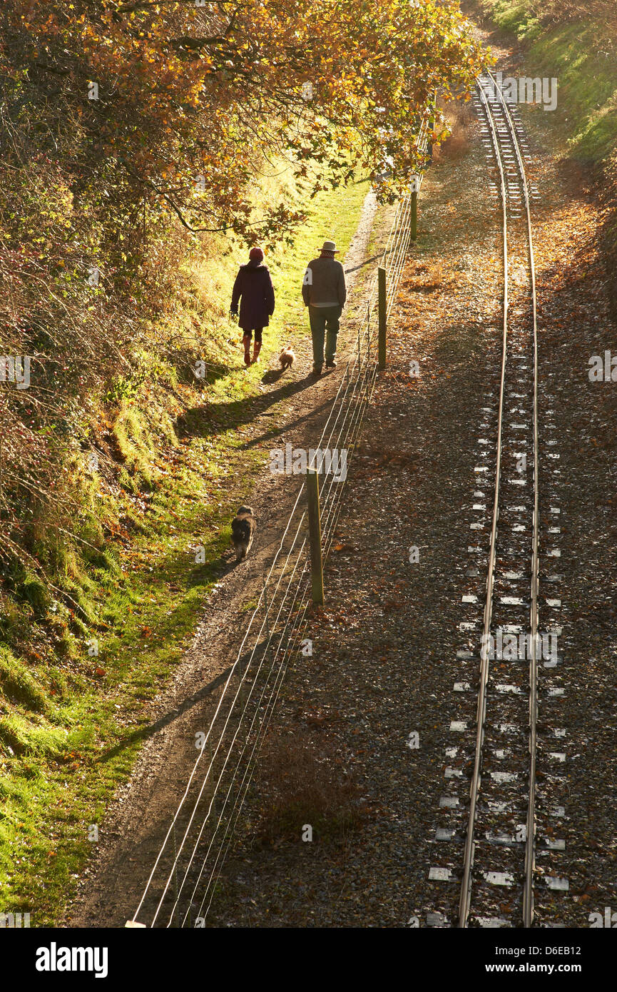 Two people dog walking in the country side near a railway line Stock ...