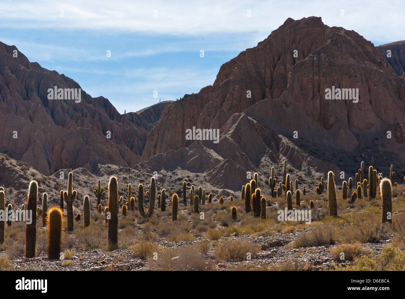 Salta provincia hi-res stock photography and images - Alamy
