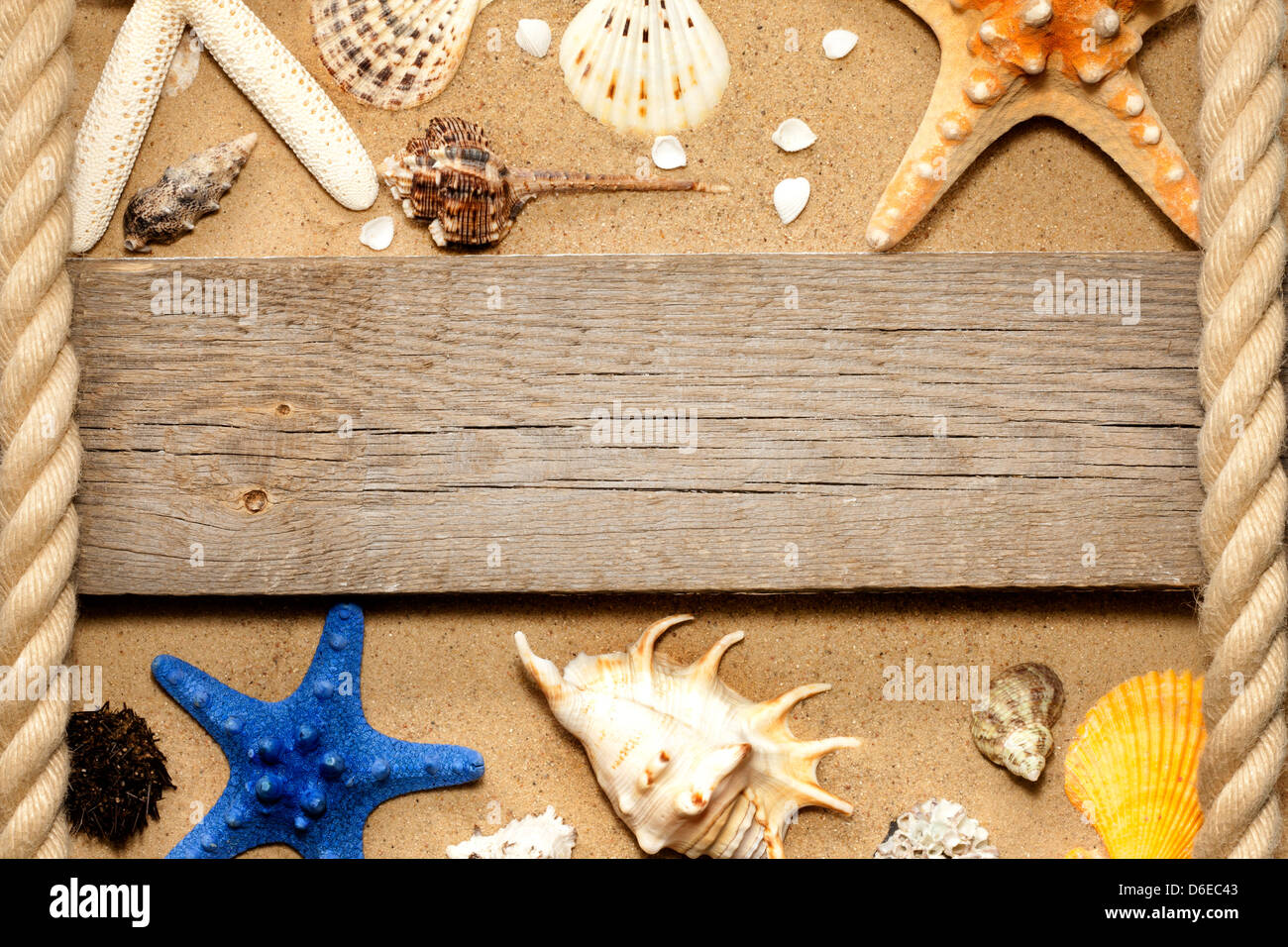 Starfish and shells on beach with empty board background concept Stock ...