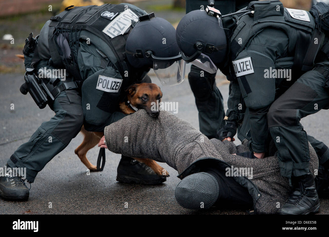 Officers of the special response forces (SEK) demonstrate the arrest of ...