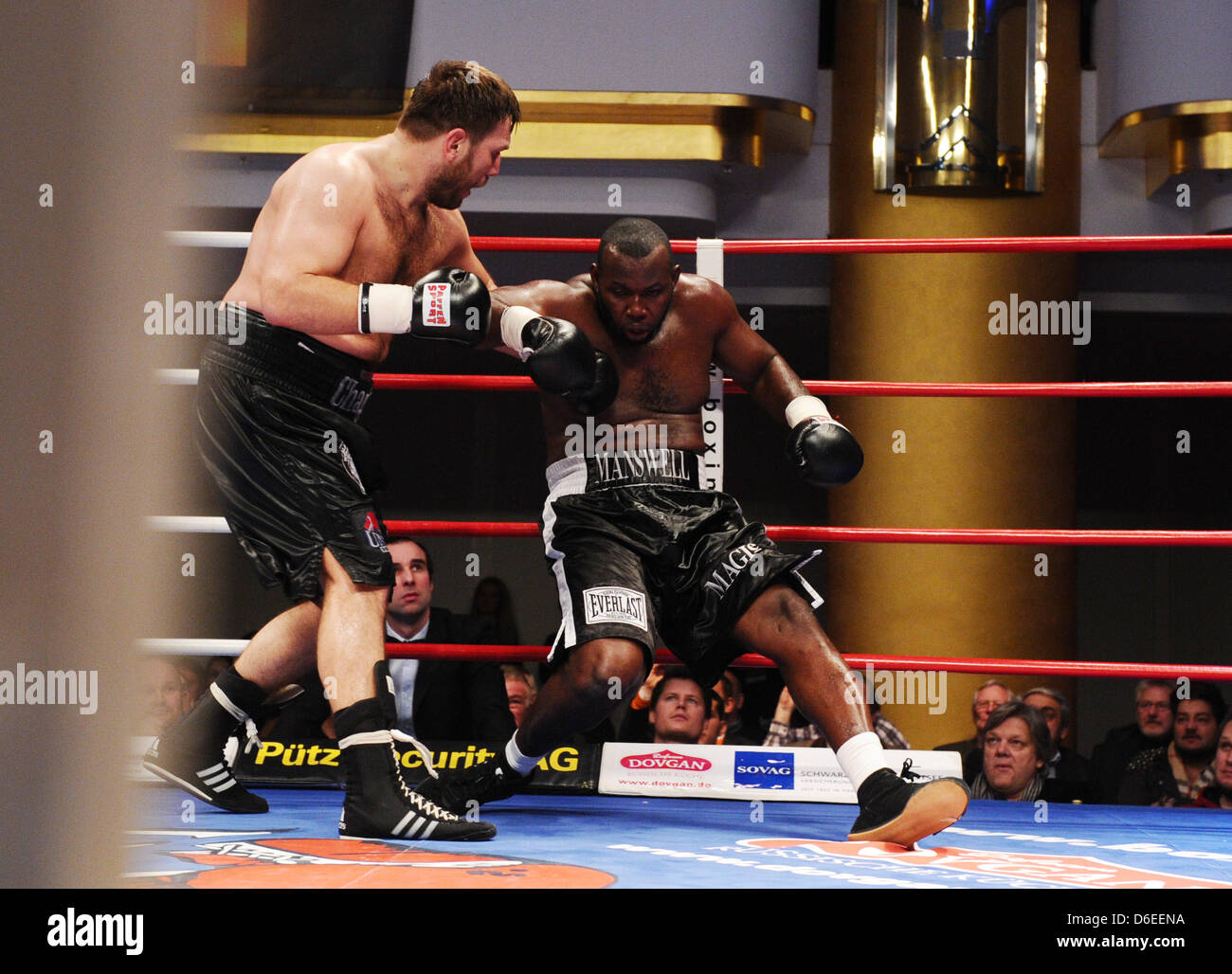 Boxers Face Off High Resolution Stock Photography and Images - Alamy