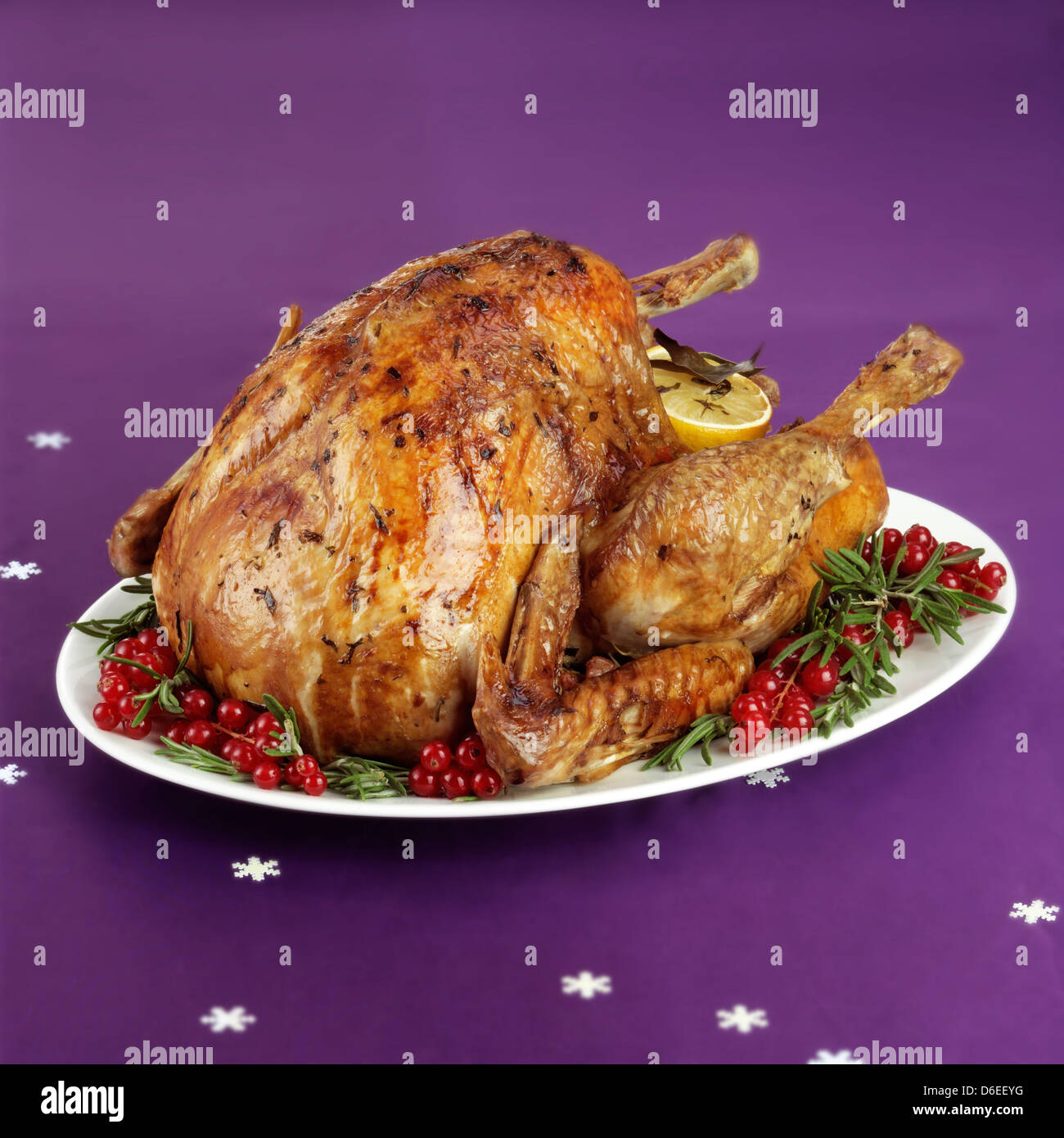 Christmas turkey cut out hi-res stock photography and images - Alamy