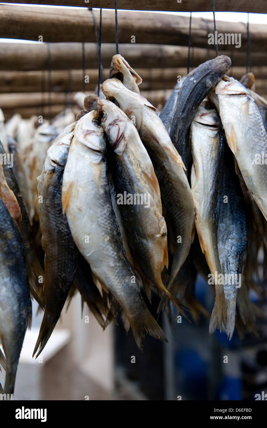 Saldanha fishing hi-res stock photography and images - Alamy
