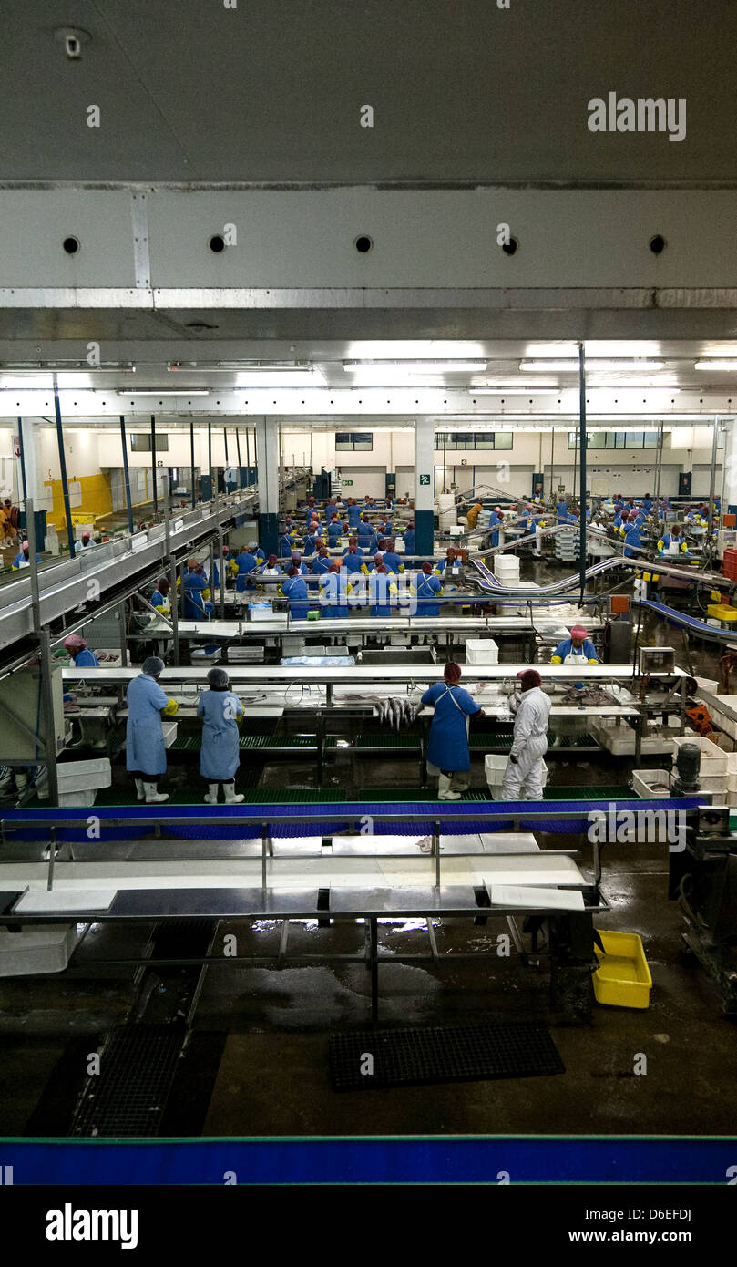 Frozen food production line workers hi-res stock photography and images ...