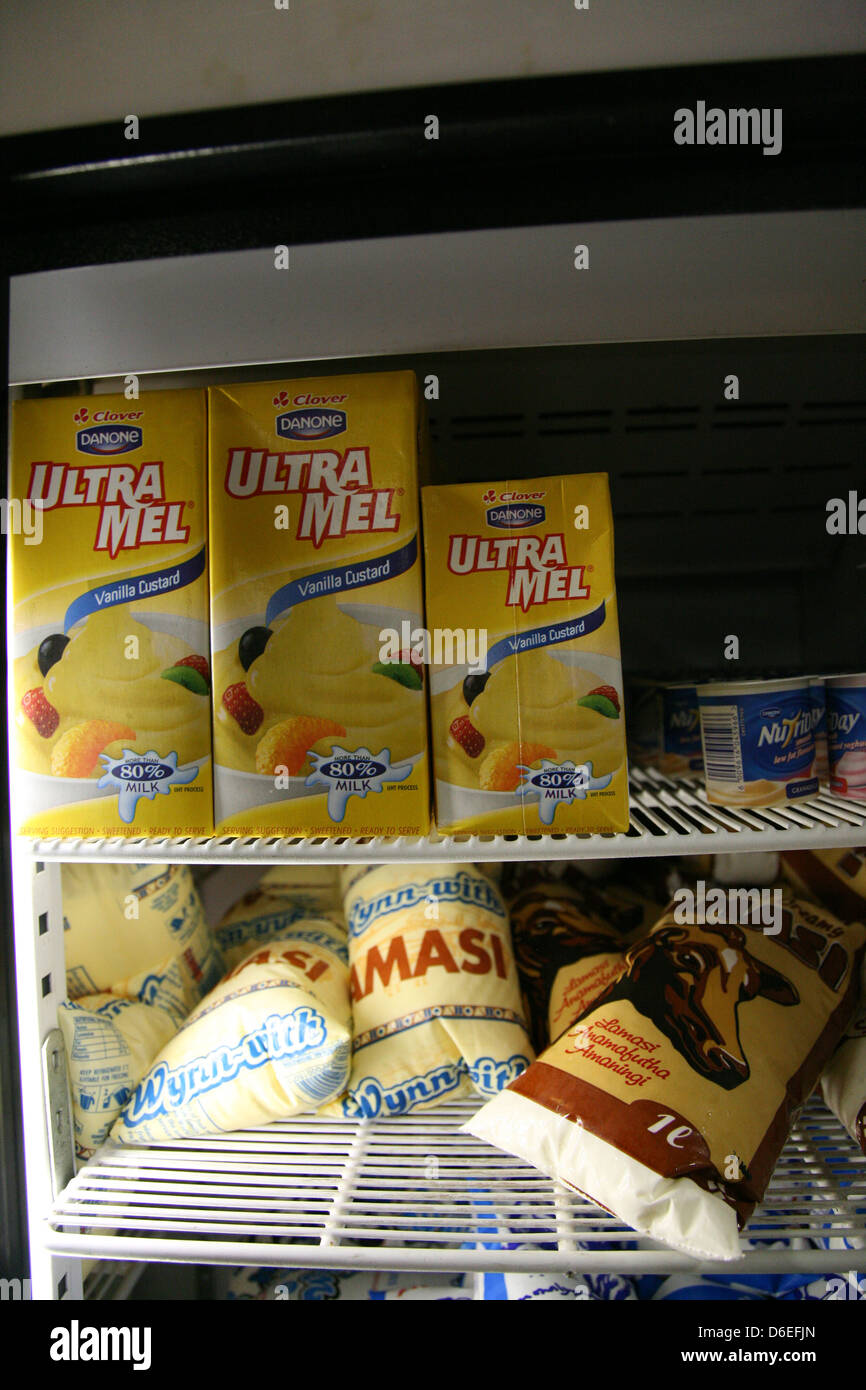 Processed custard and sachets of traditional African curdled milk Stock ...