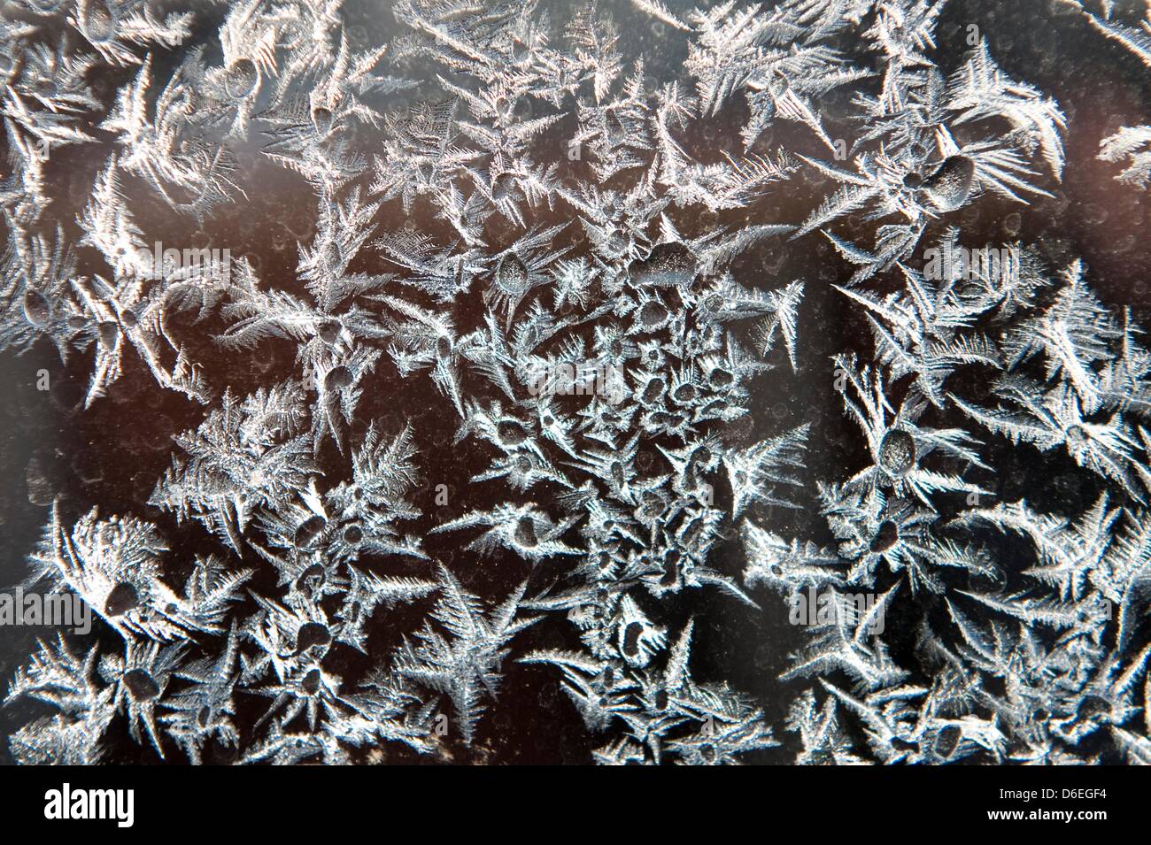 A window is covered with ice flowers in Berlin, Germany, 30 January ...