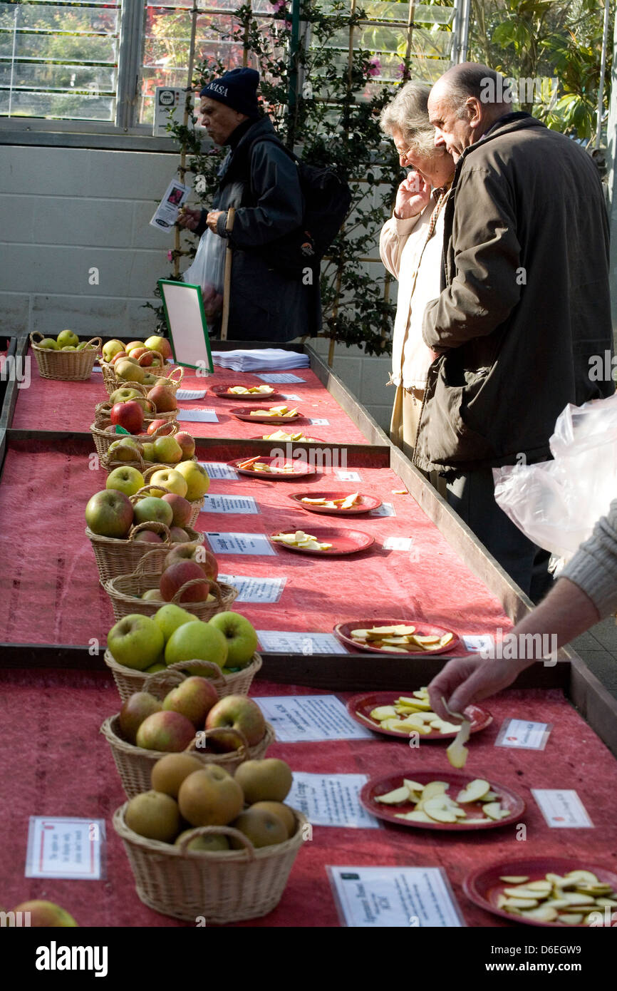Old english apple varieties hi-res stock photography and images - Alamy