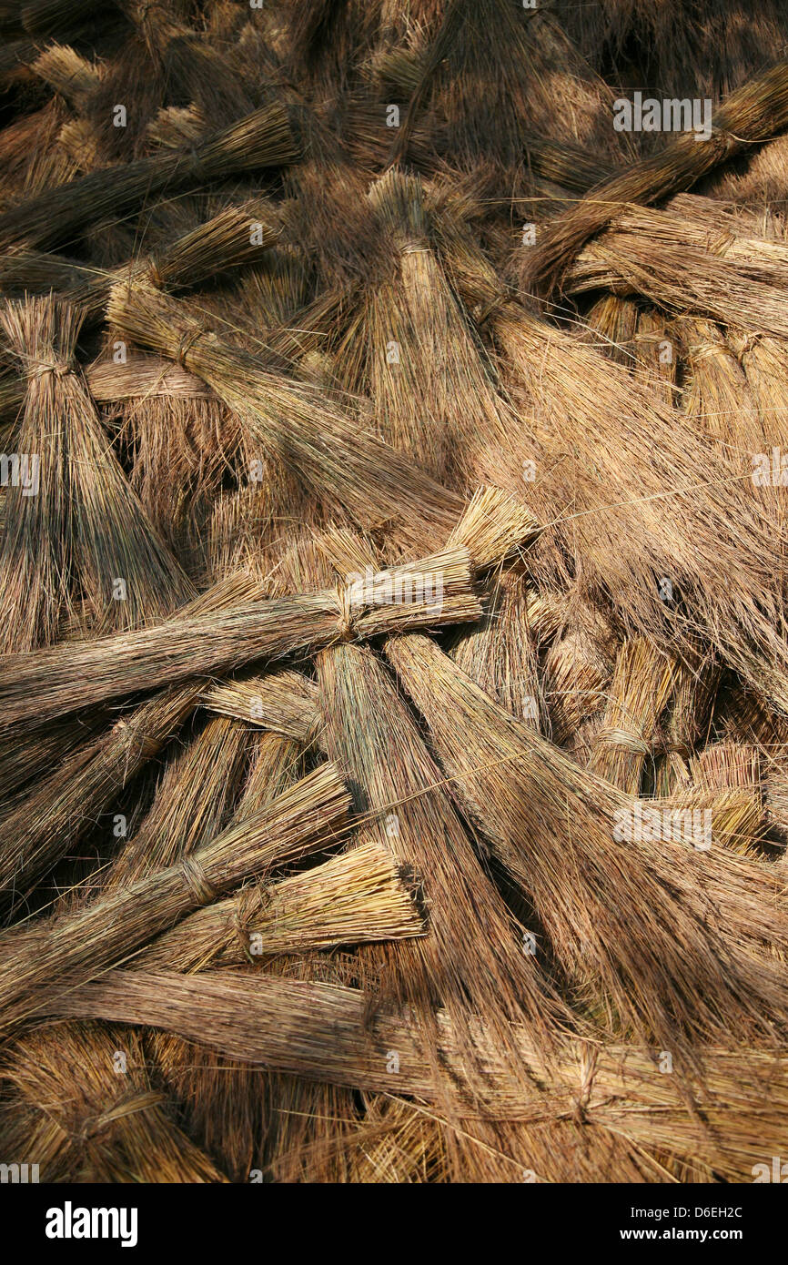 Bundles of grass Stock Photo - Alamy