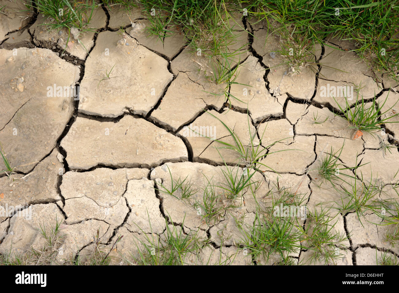 Cracked ground from drought hi-res stock photography and images - Alamy