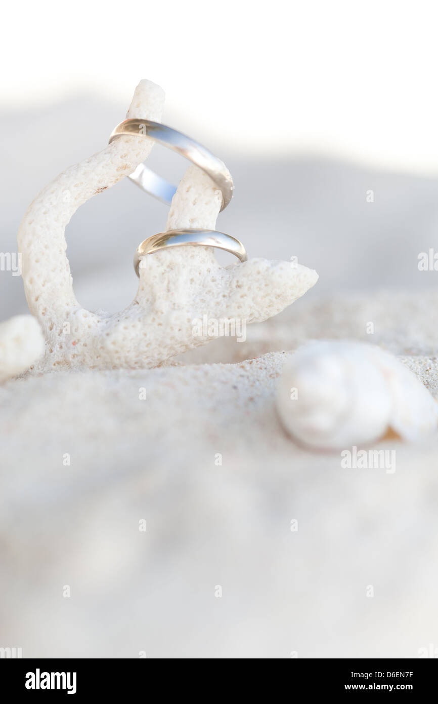 Celebration Valentine's day on beach, rings on shell Stock Photo - Alamy