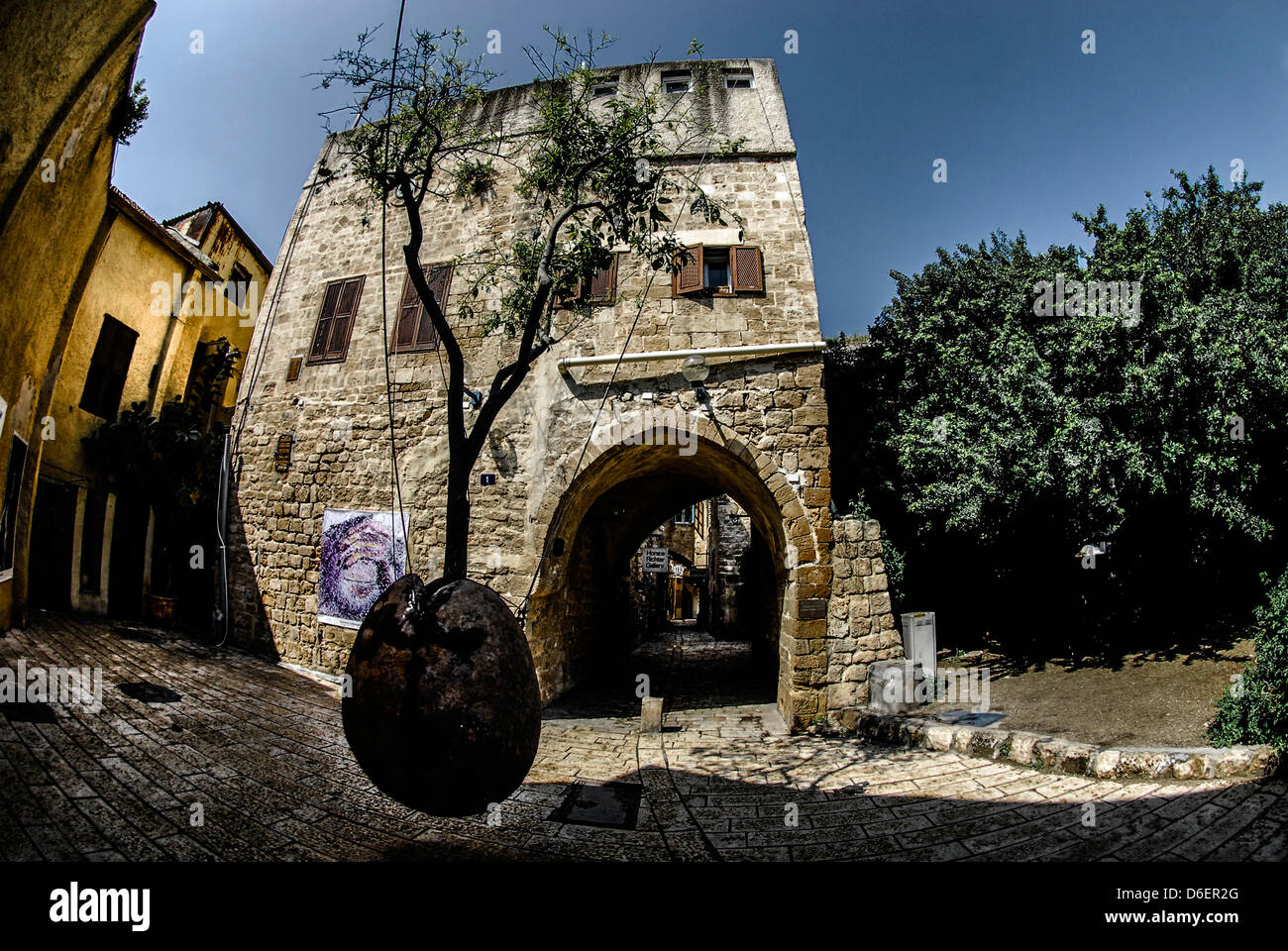 Israel, Jaffa, Floating Orange Tree (1993), by Ran Morin Stock Photo ...