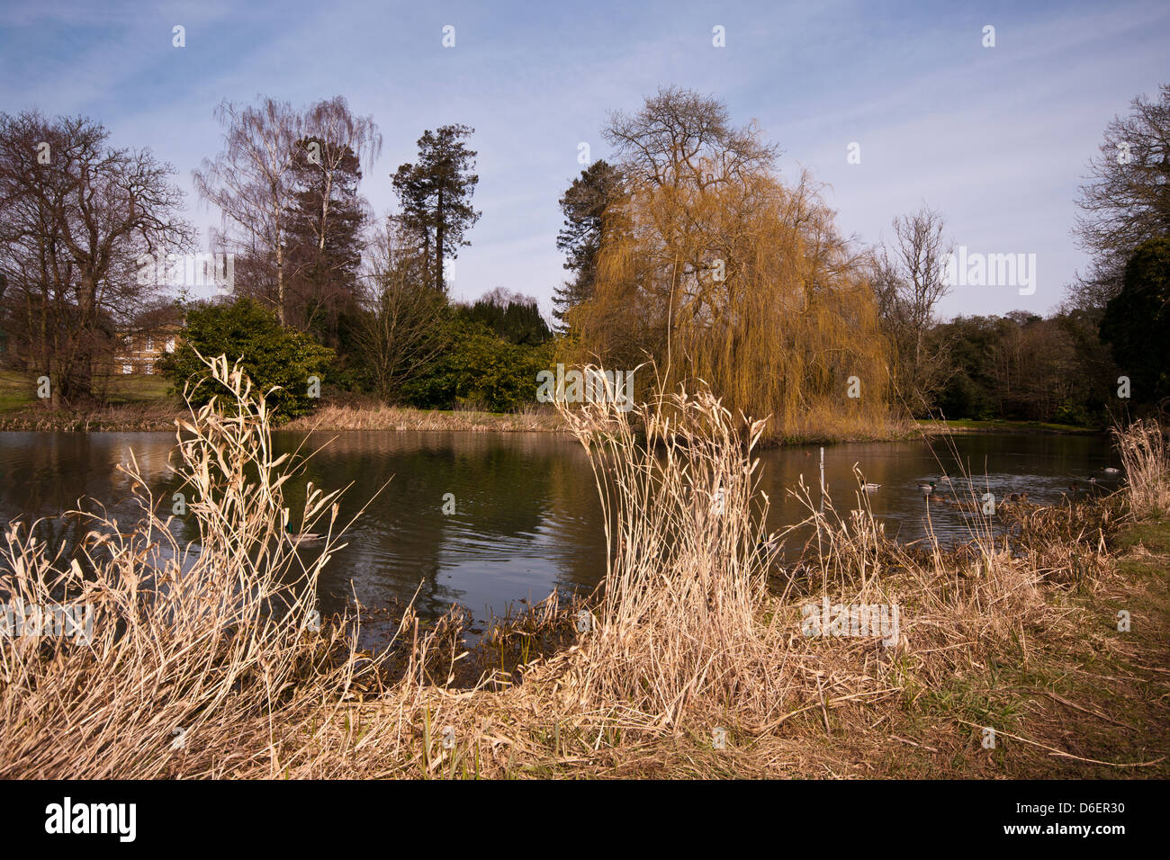 Lake Fed By The River Wey in the Surrey Countryside Farnham UK Stock ...