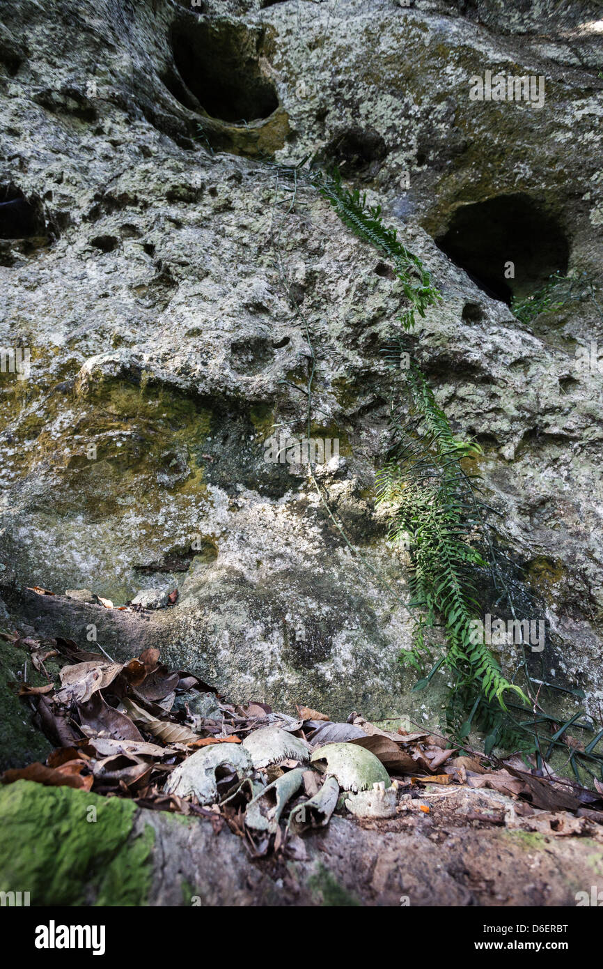 Skull and bones rituals - Trosarchitects