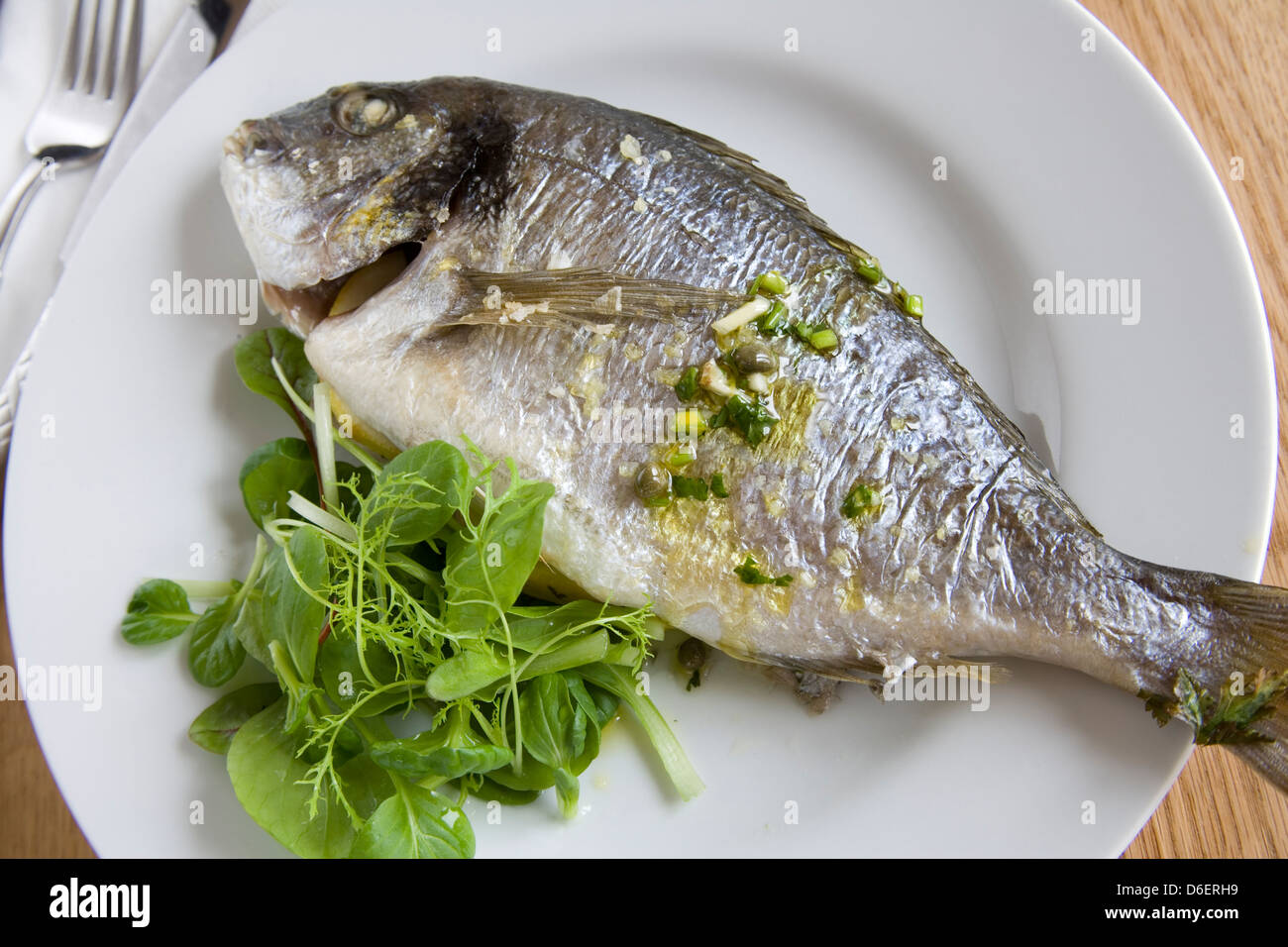 Cooked Dorade / Sea Bream with olive oil, garlic and fresh herbs Stock ...