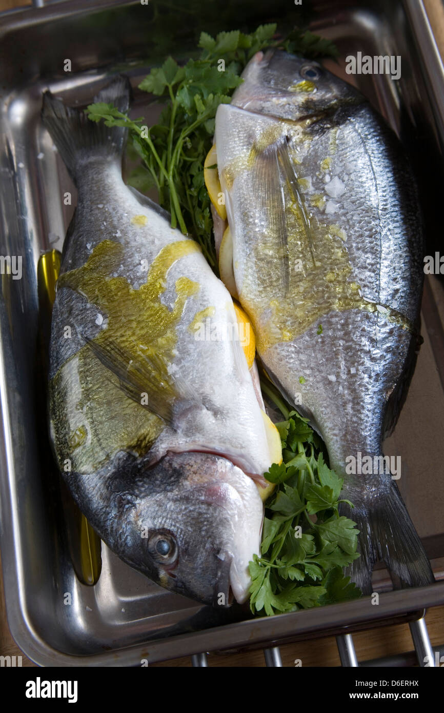 Two Dorade / Sea Bream dressed with olive oil, oven ready Stock Photo ...
