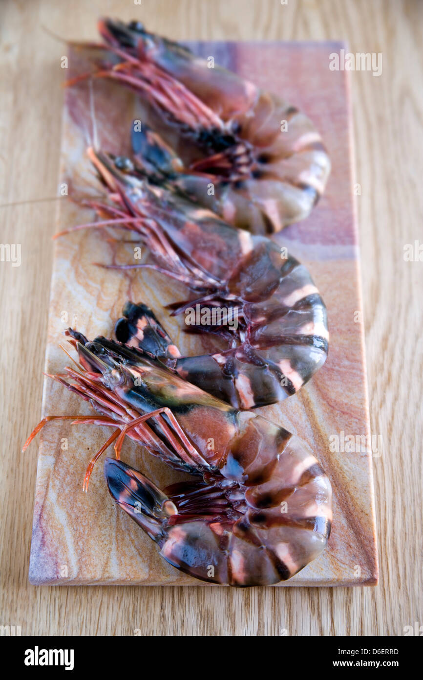 Tiger prawn hi-res stock photography and images - Alamy