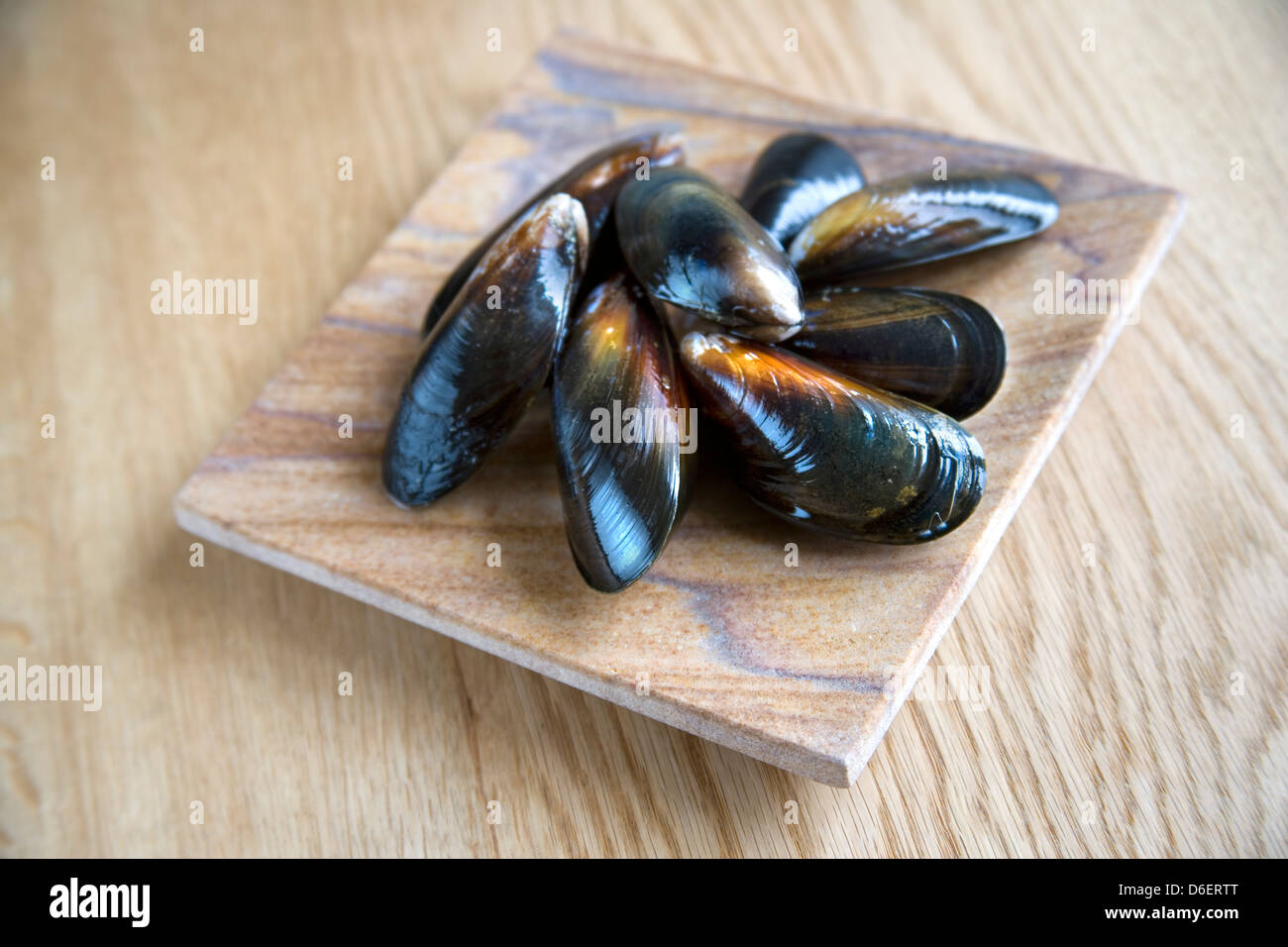Live mussels in shell / step shot Stock Photo - Alamy