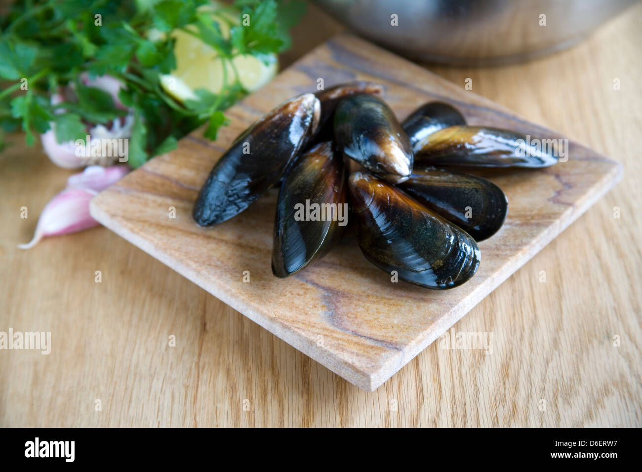 Live mussels with lemon, garlic and parsley Stock Photo - Alamy