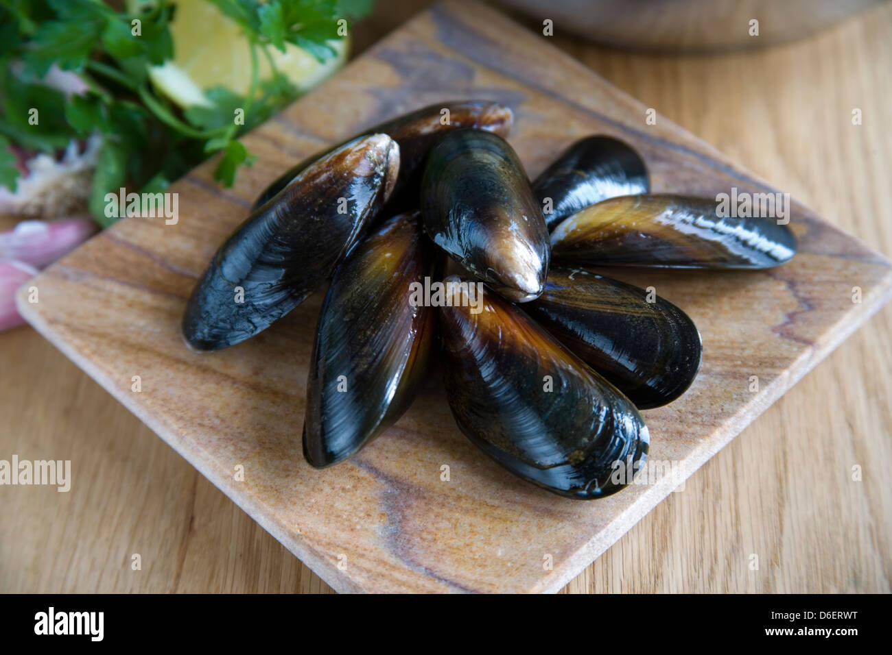 Live food photos hi-res stock photography and images - Alamy