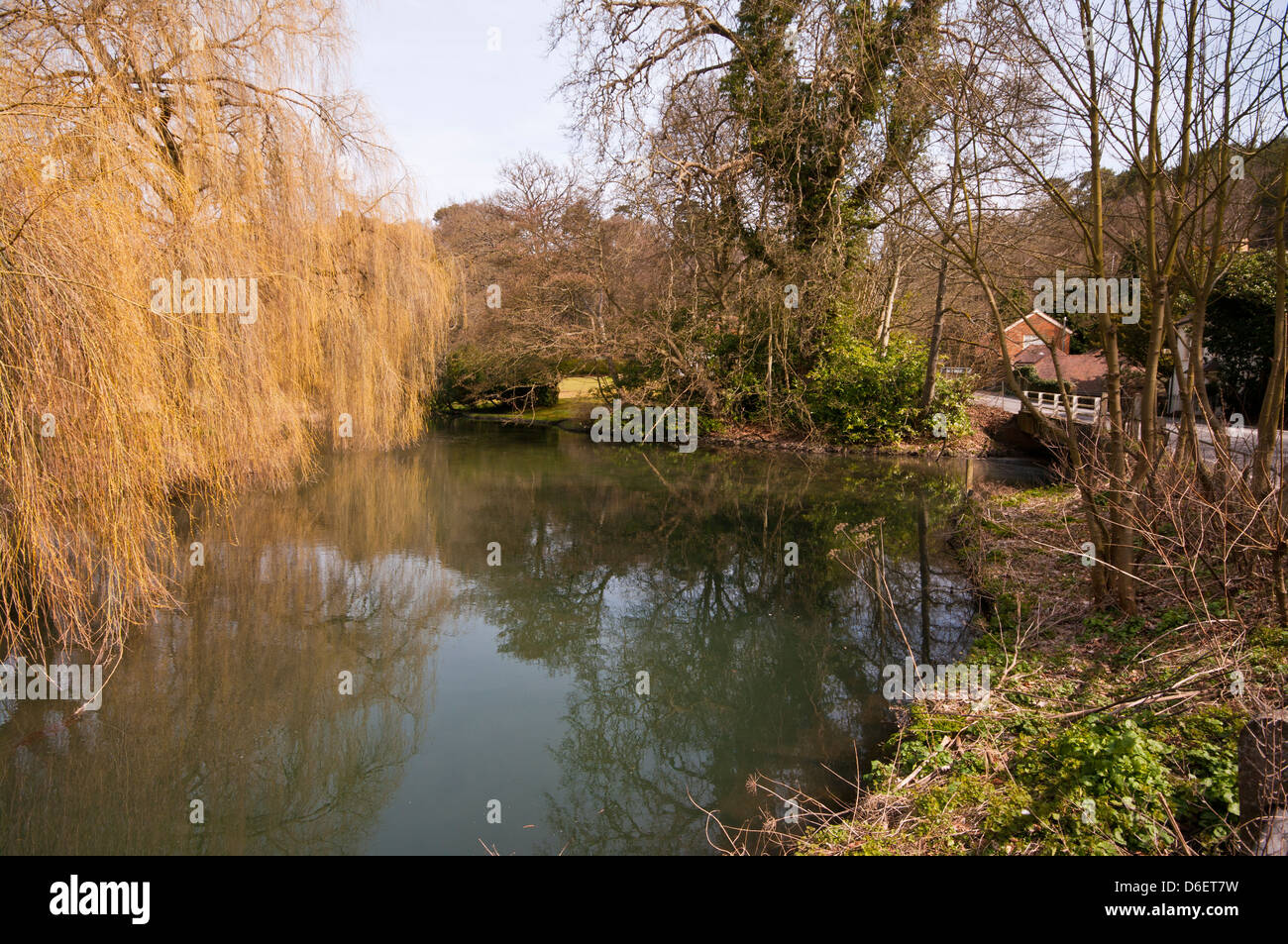 The River Wey Flowing Through The Surrey Countryside Just Outside ...