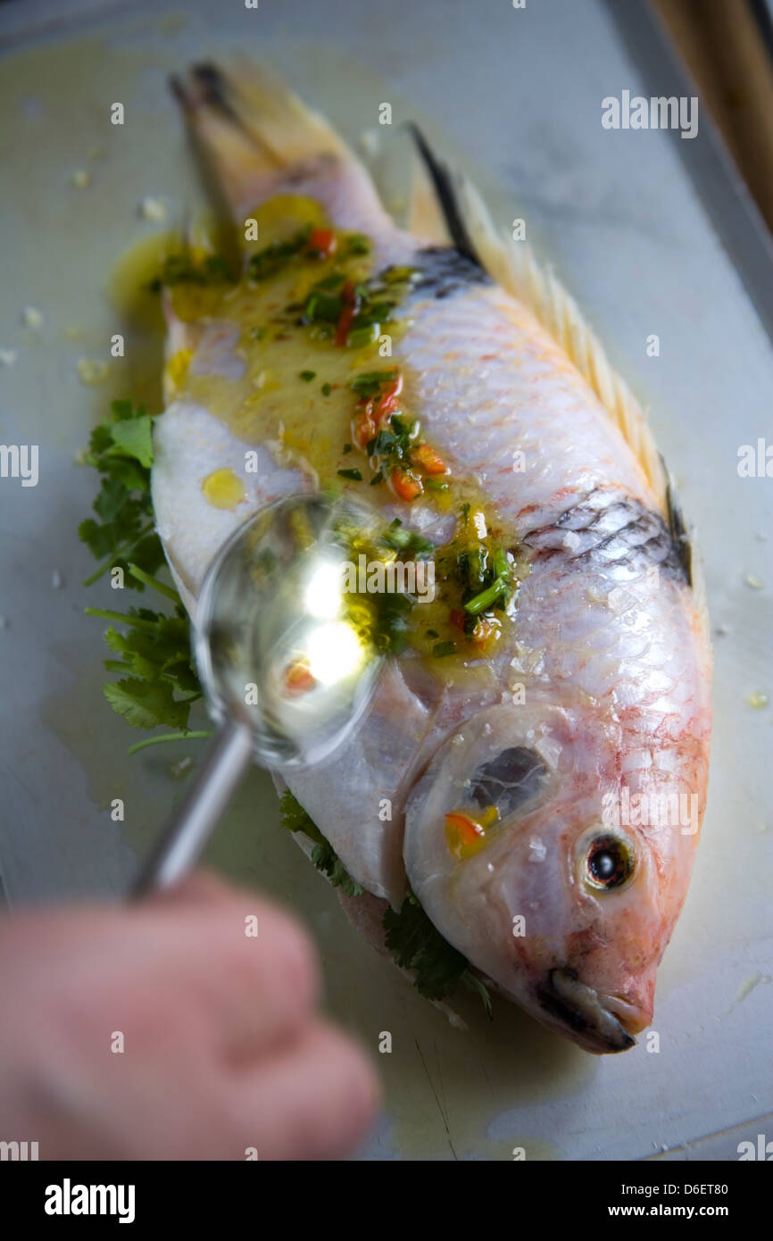 Peters fish hi-res stock photography and images - Alamy