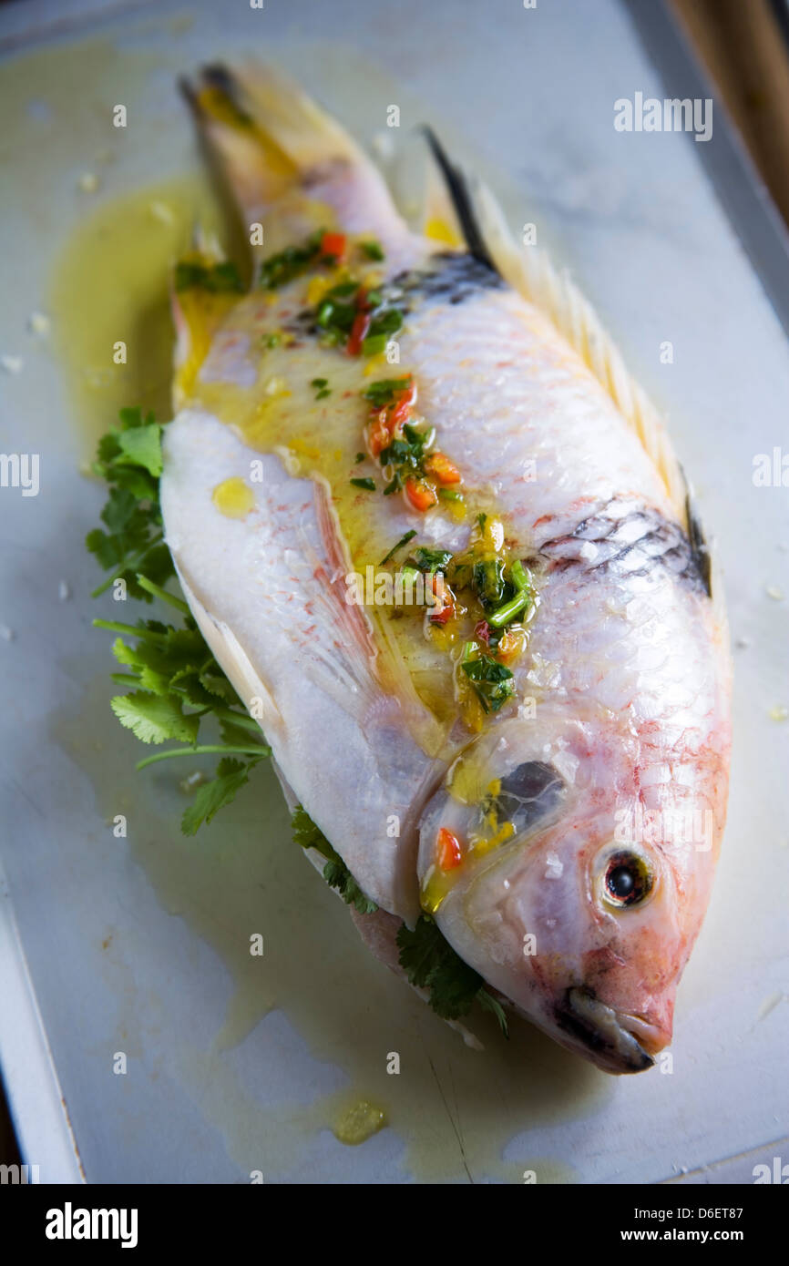 St peters fish hi-res stock photography and images - Alamy