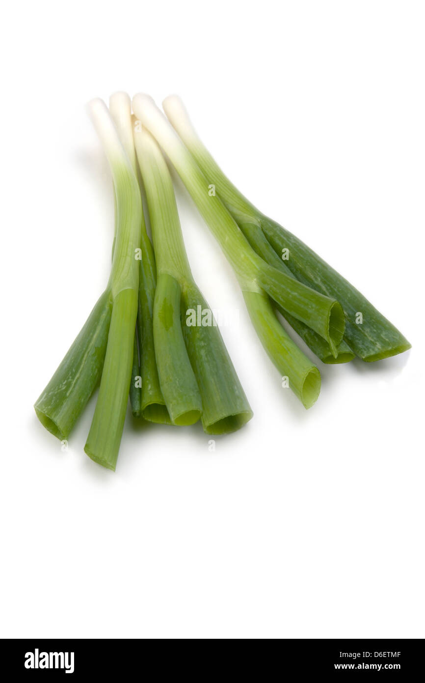 Spring onions on white background Stock Photo - Alamy