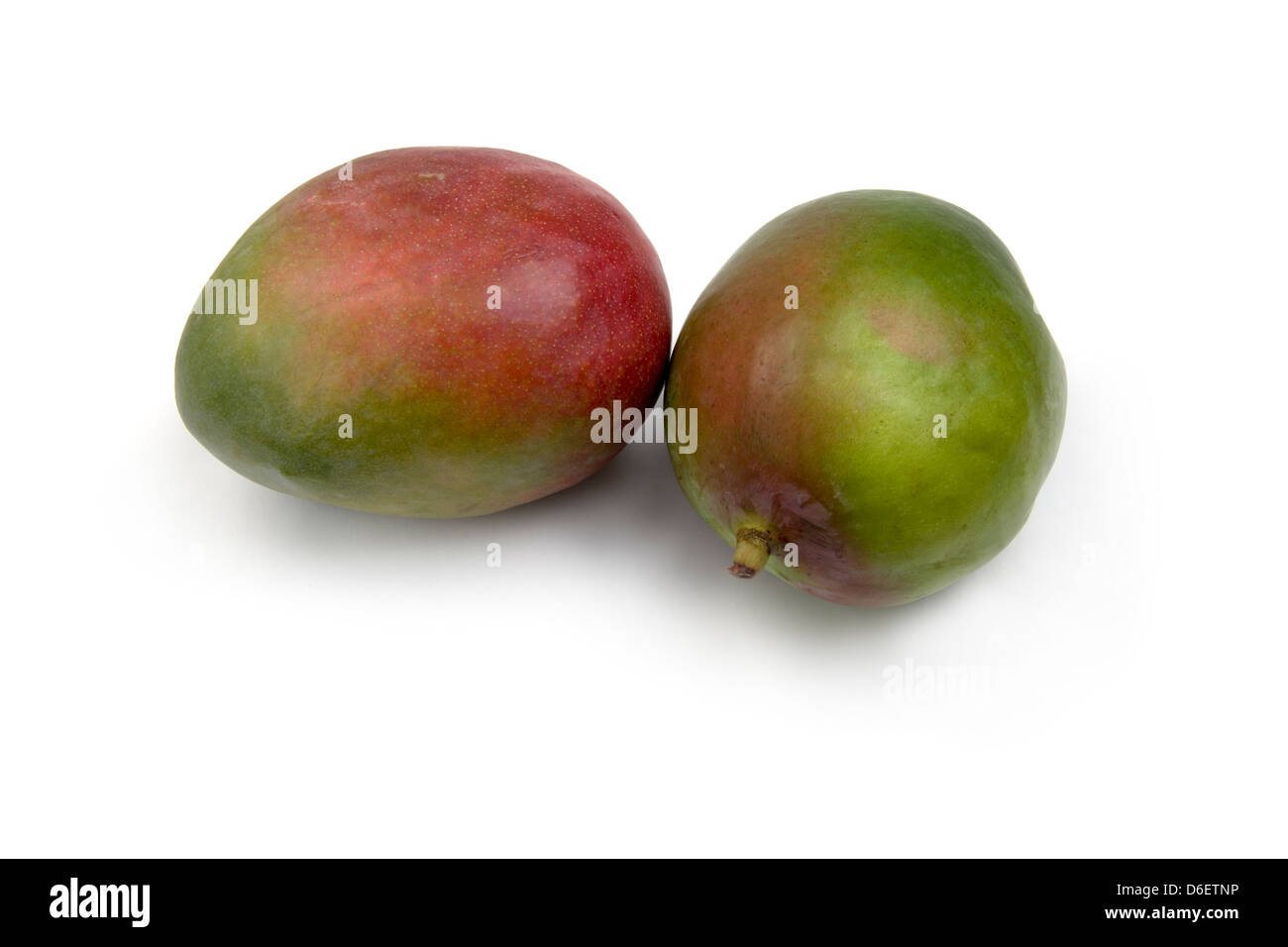 Whole Mangoes on white background Stock Photo - Alamy