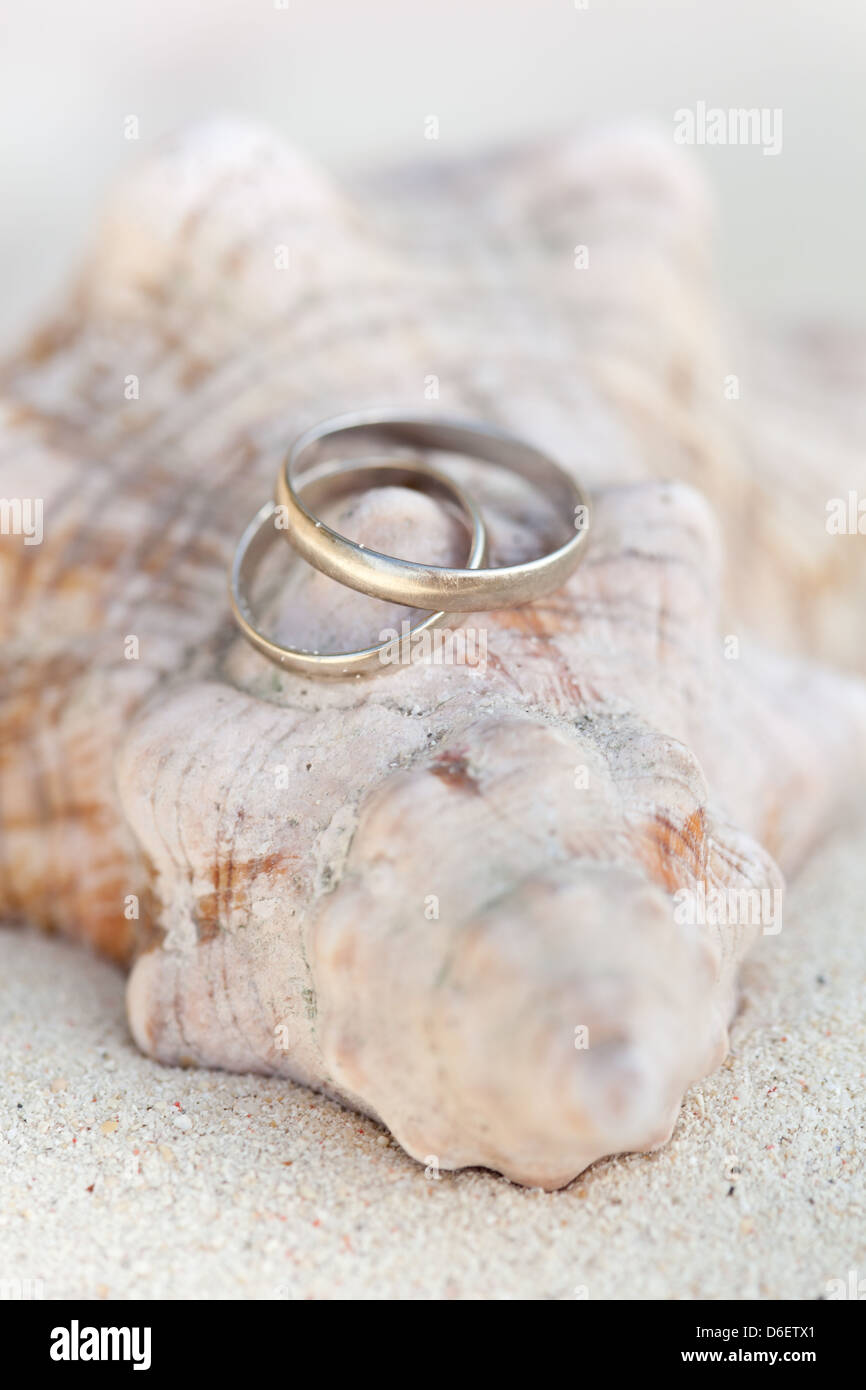 Celebration Valentine's day on beach, rings on shell Stock Photo - Alamy