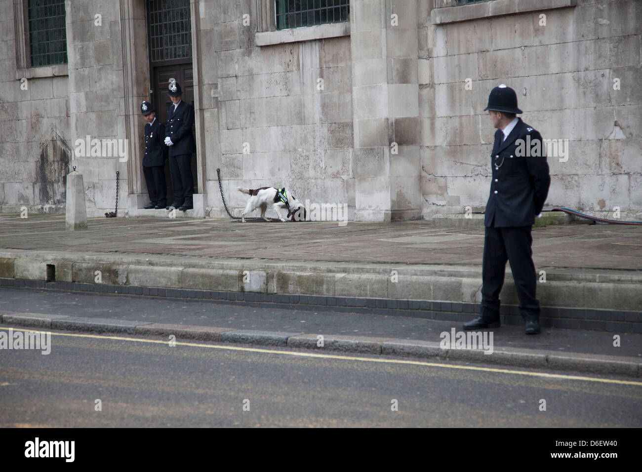 British police with sniffer dogs hi-res stock photography and images ...