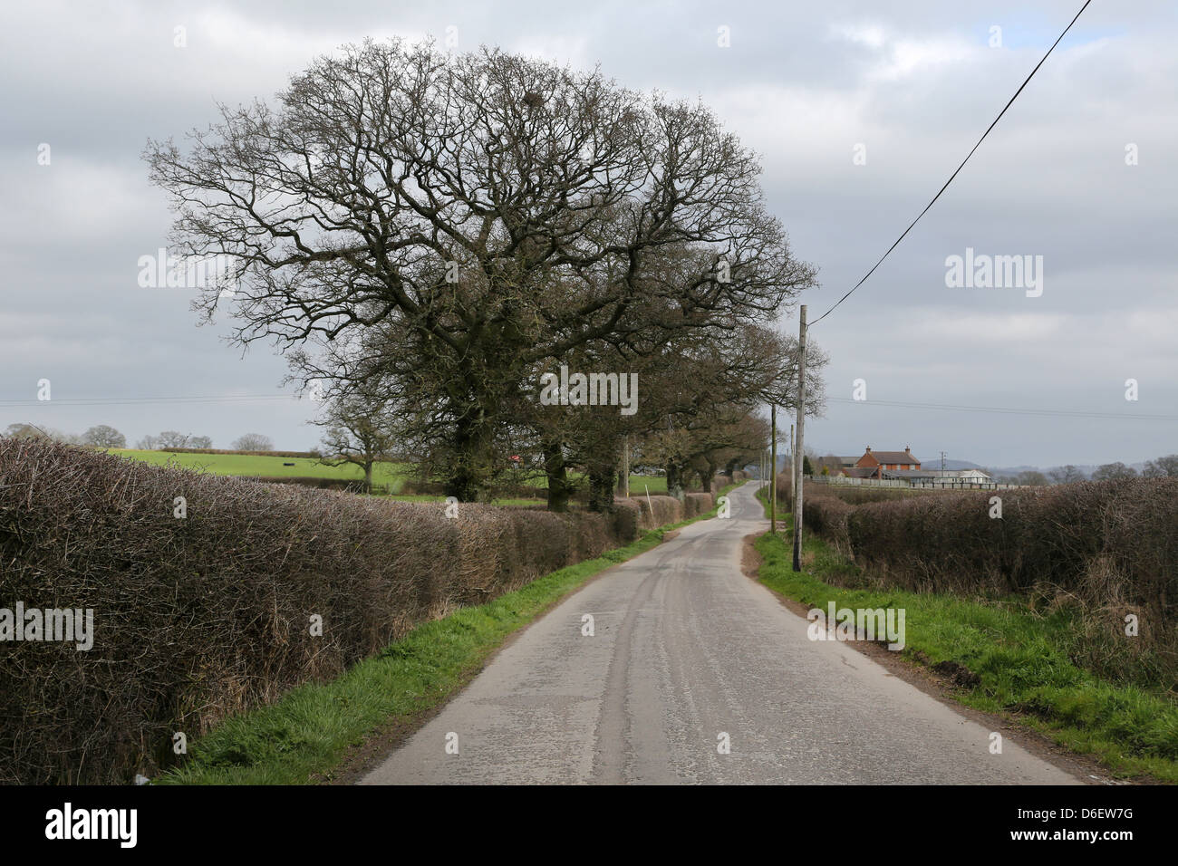 Country Road By Farm near Gillingham Dorset England Stock Photo - Alamy