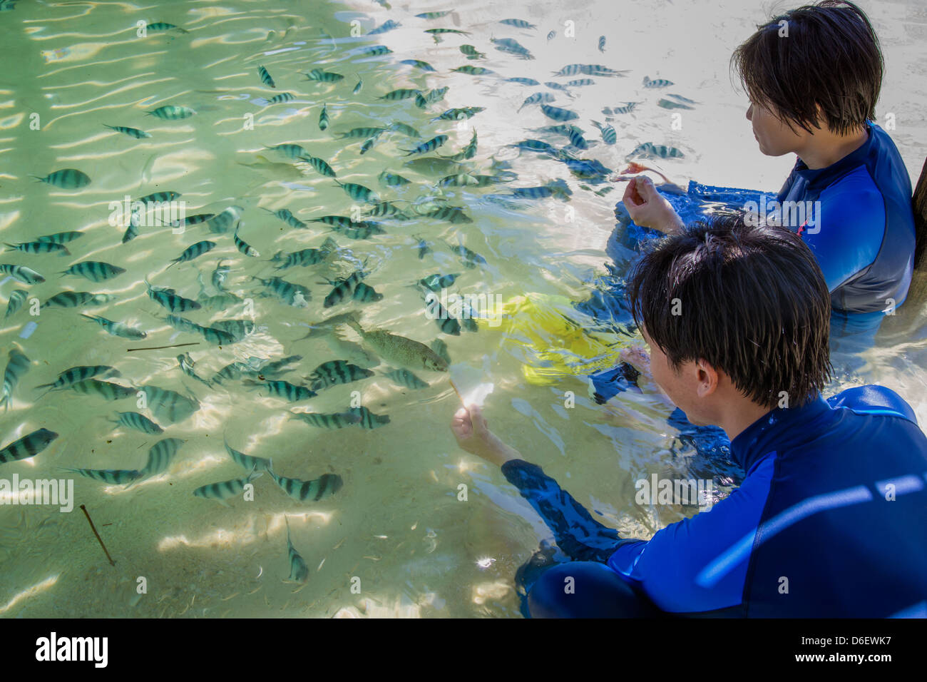 Fish under a boat hi-res stock photography and images - Alamy