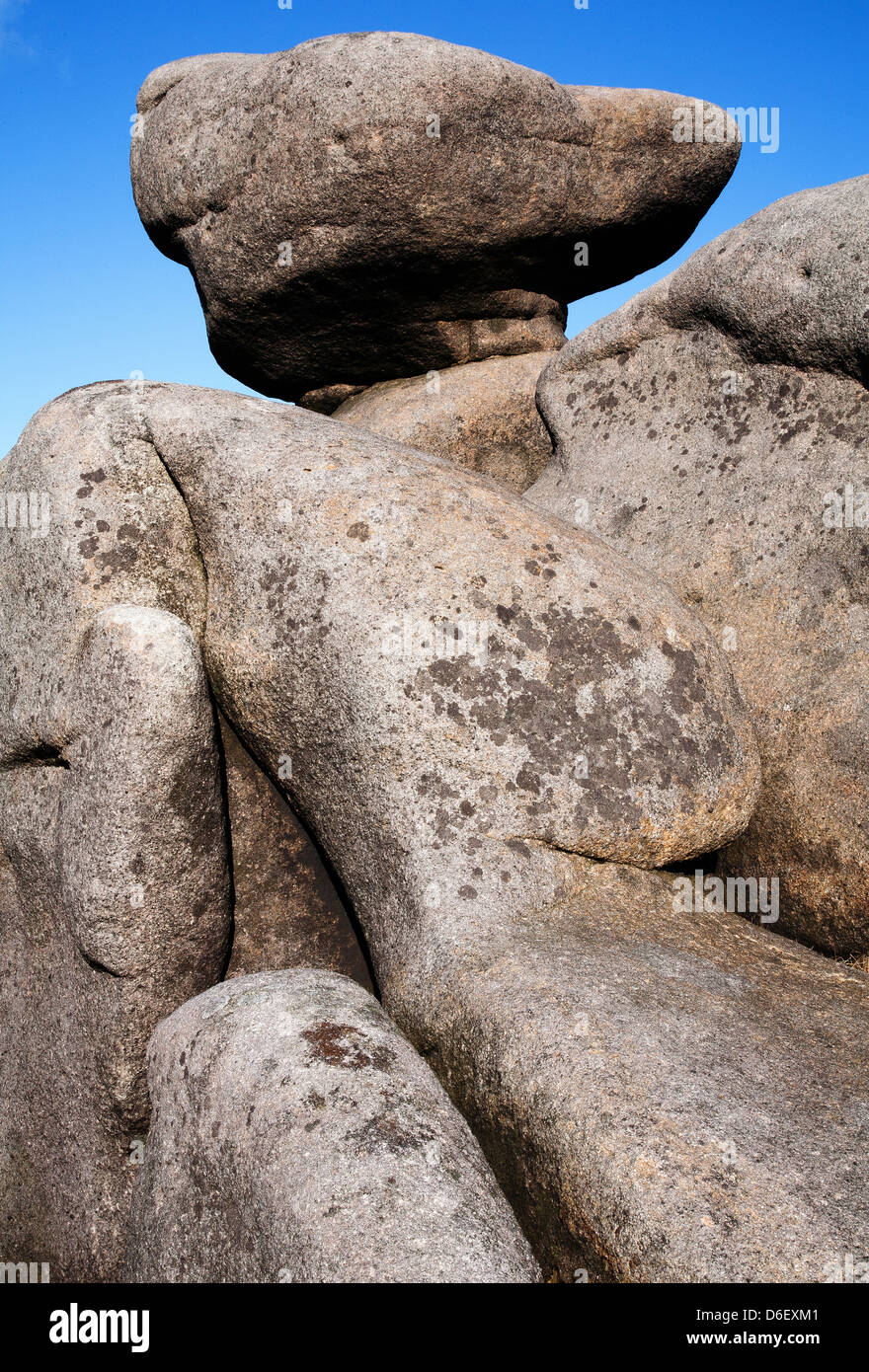 Wool Packs Stock Photos & Wool Packs Stock Images - Alamy