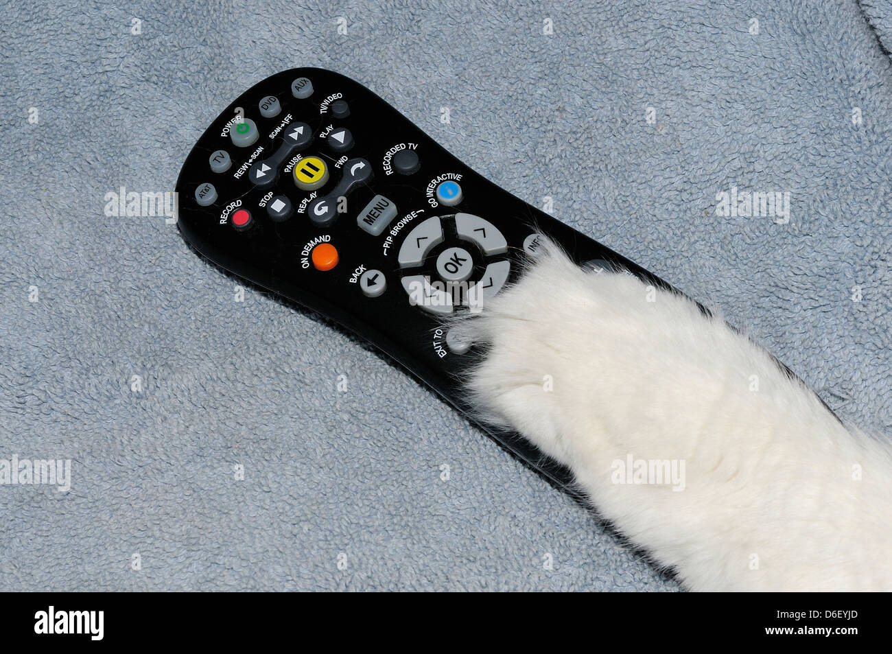 Paw control hi-res stock photography and images - Alamy