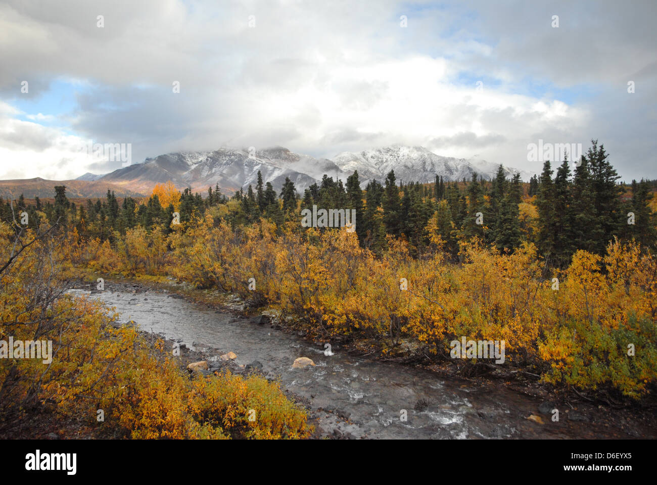 Fall foliage and rail road hi-res stock photography and images - Alamy