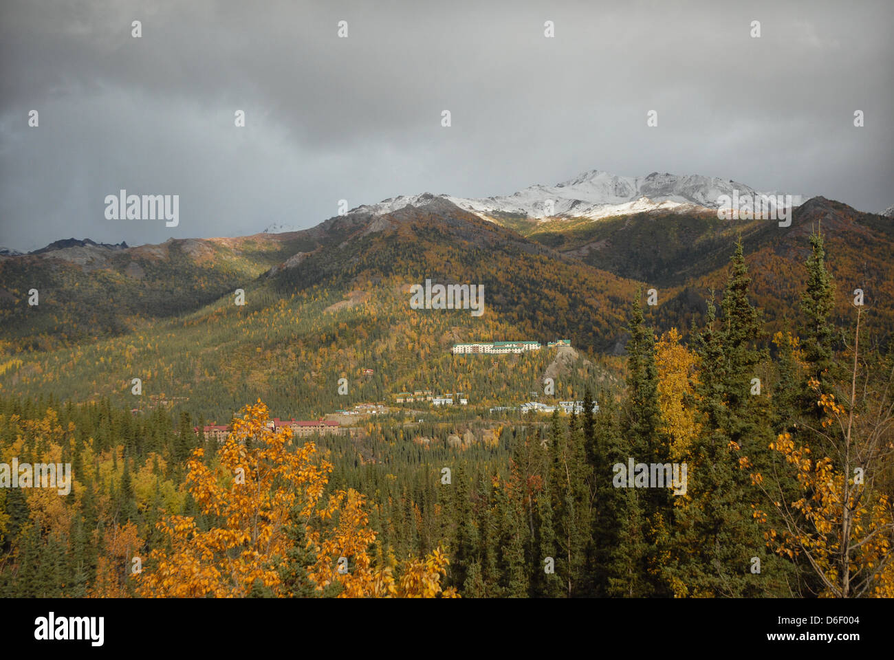 Denali alaska town hi-res stock photography and images - Alamy