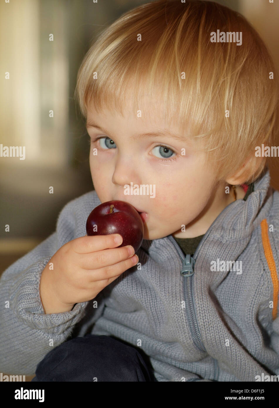 Boy and plum Stock Photo - Alamy