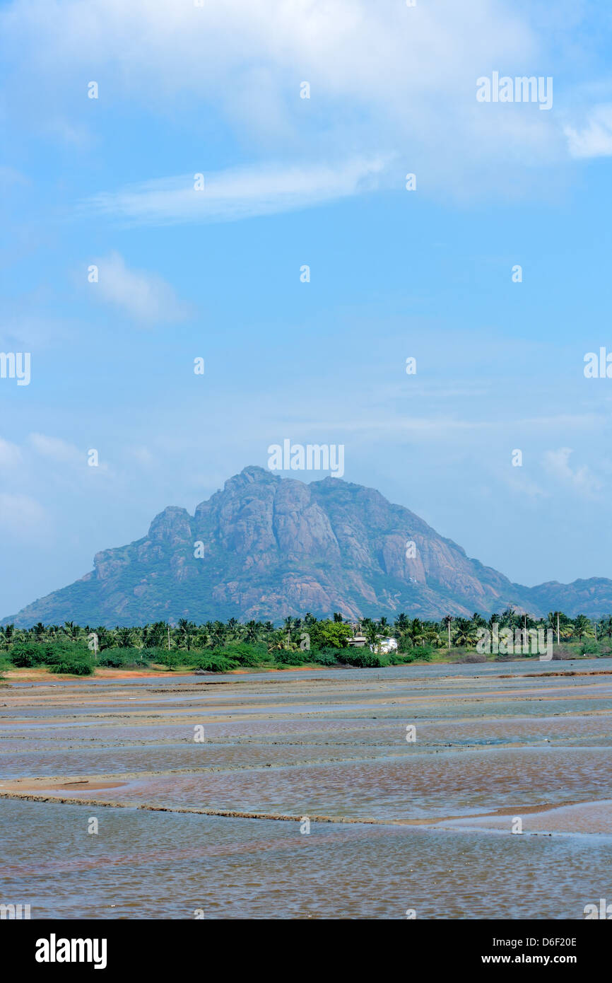 Salt Pans At Tamil Nadu India Stock Photo Alamy salt-pans-at-tamil-nadu-india-stock-photo-alamy